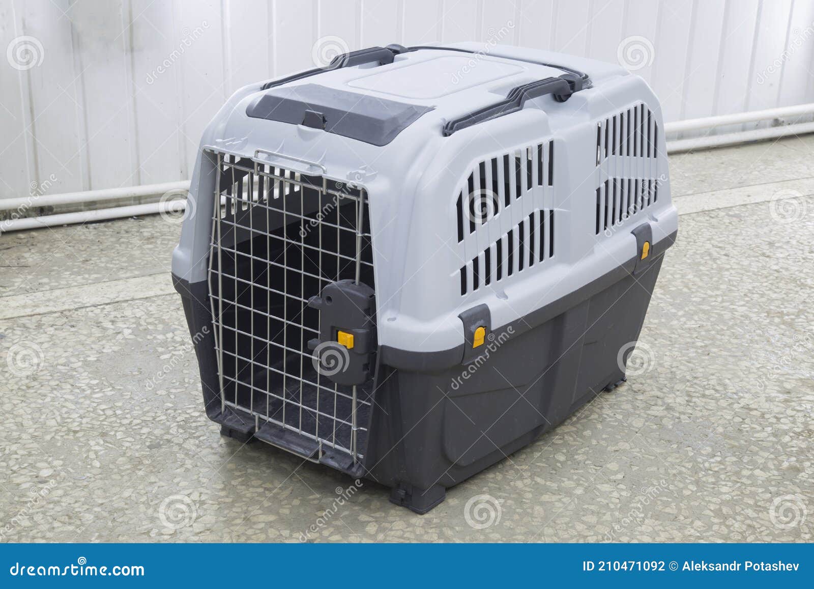 Pet Carrier.Transportation of Animals in Special Cages Stock Photo ...