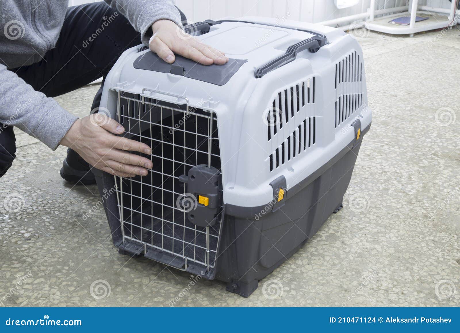 Pet Carrier.Transportation of Animals in Special Cages Stock Photo ...