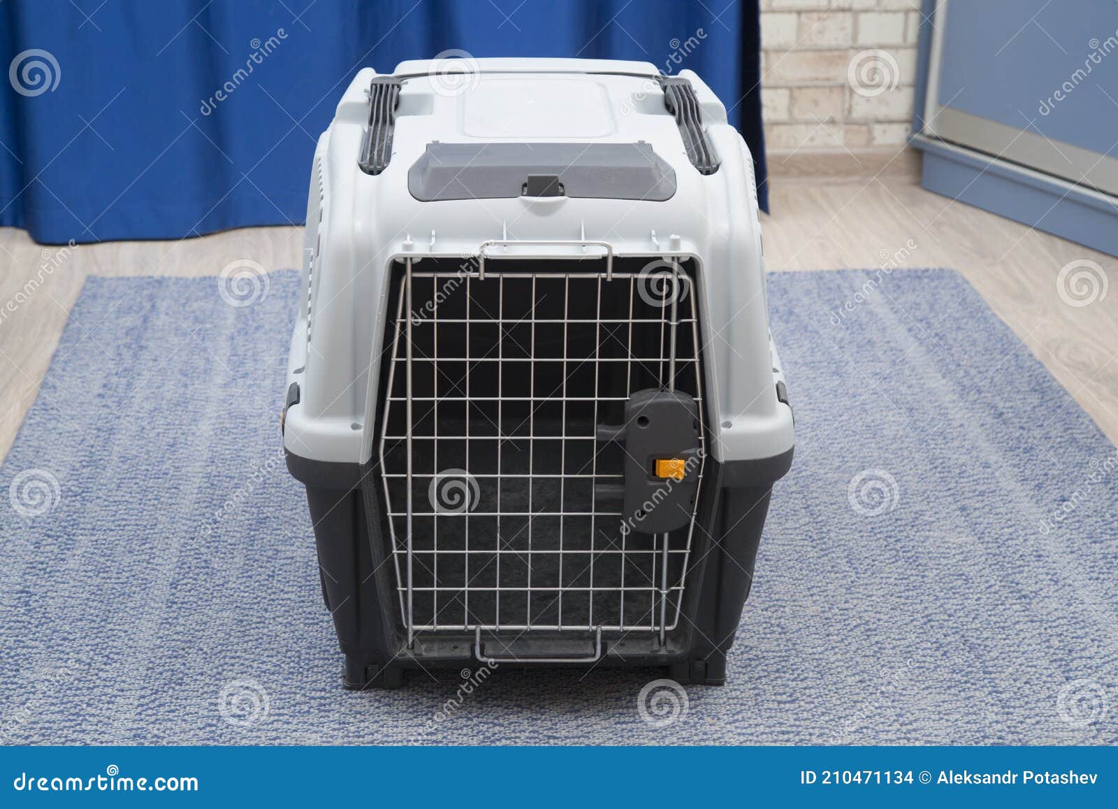 Pet Carrier.Transportation of Animals in Special Cages Stock Photo ...