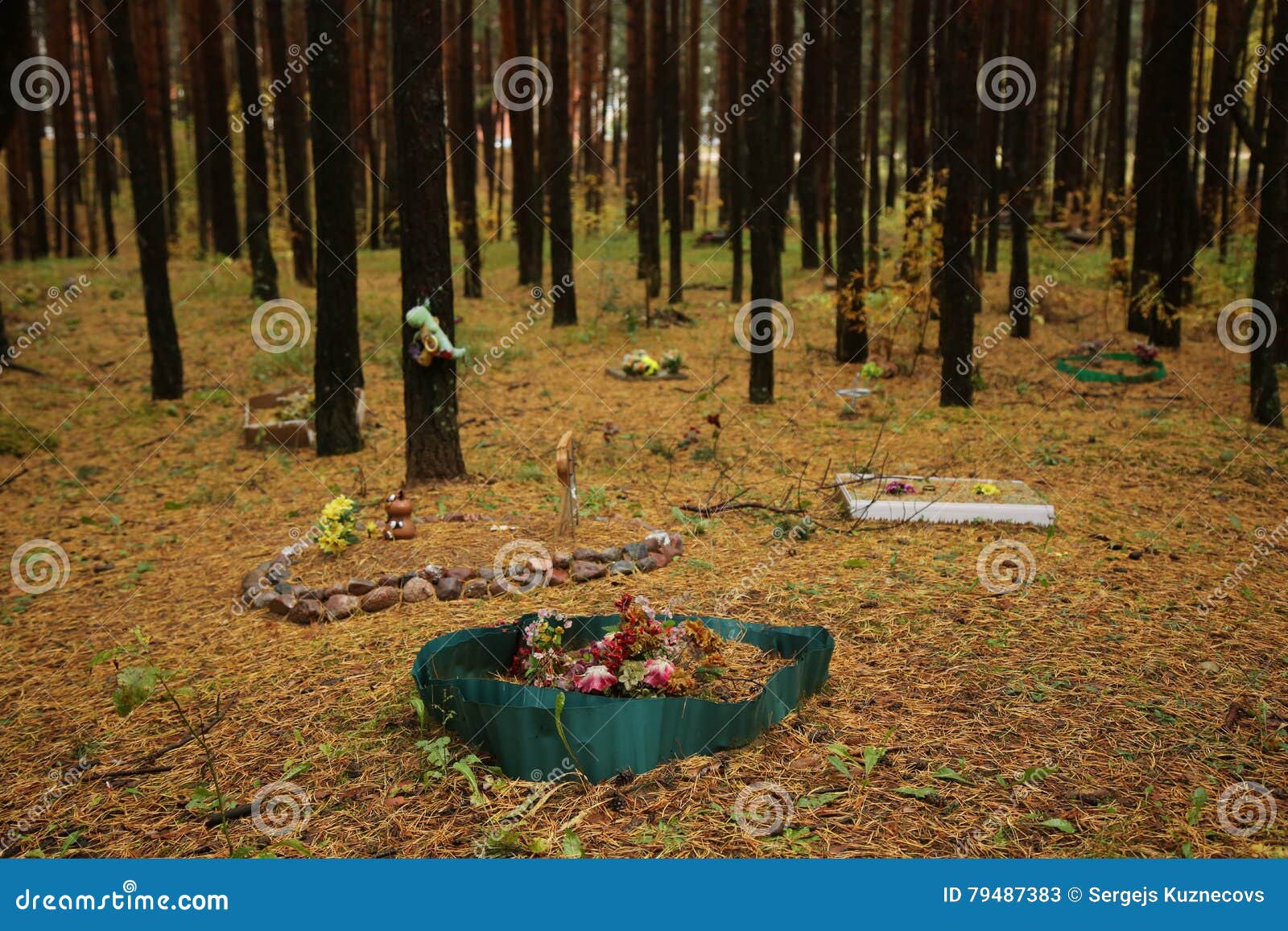Pet Cemetery in the forest stock image. Image of decorated - 79487383