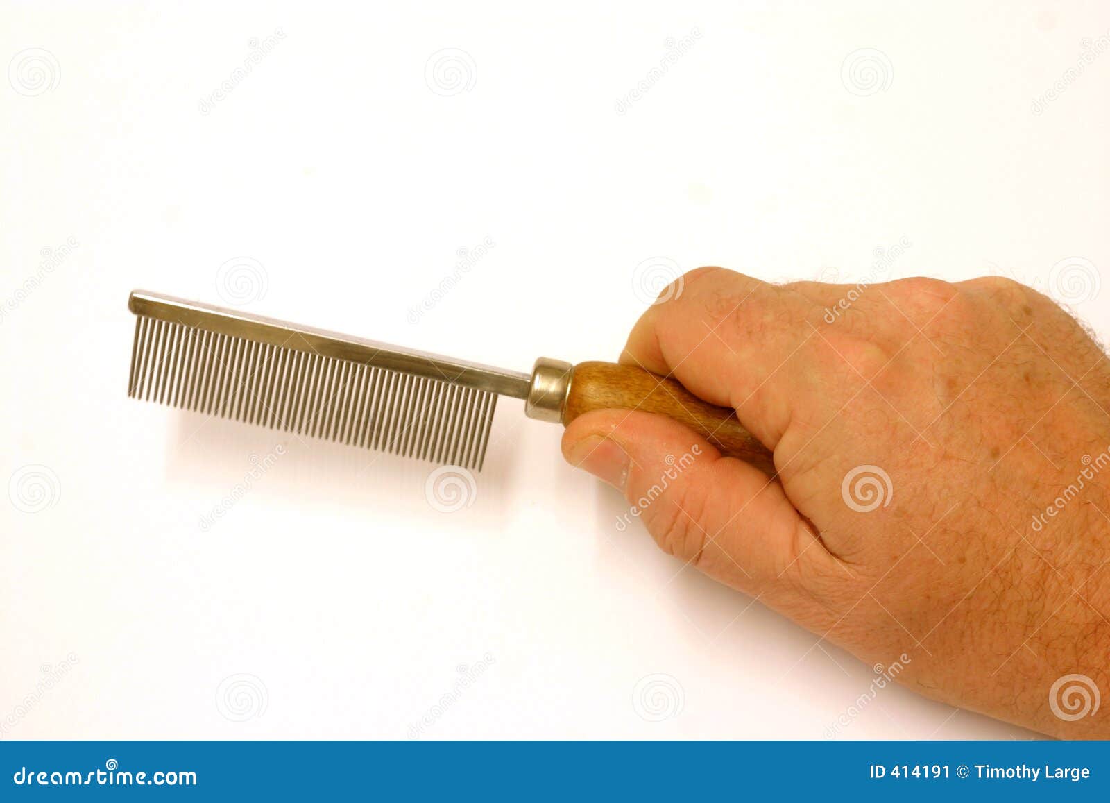 Pet Comb stock image. Image of rodent, hair, animal, fingers - 414191