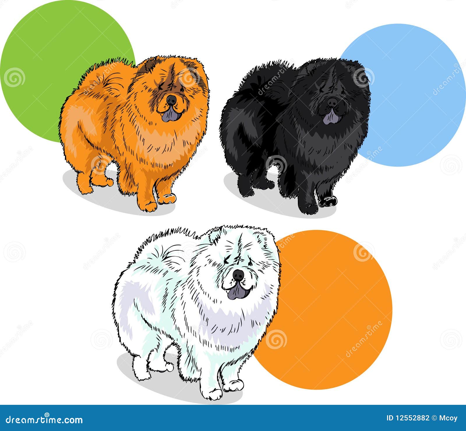 Pet dog chaw chaw stock illustration. Illustration of icons - 12552882