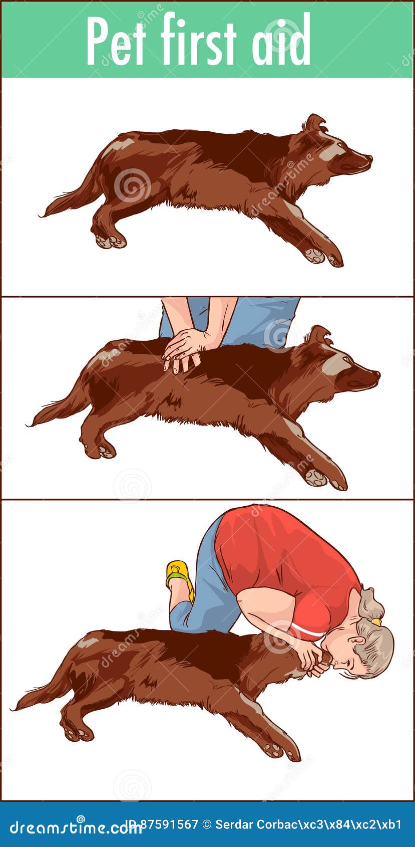 Pet first aid illustration stock vector. Illustration of happy - 87591567