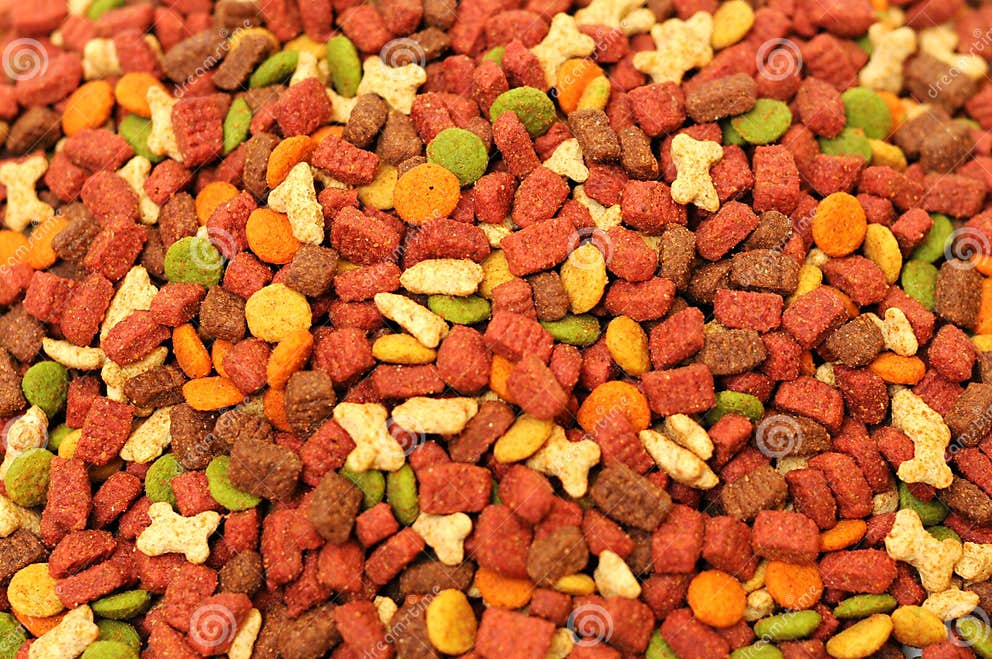 Pet food stock photo. Image of grey, cakes, dinner, meal - 33230002