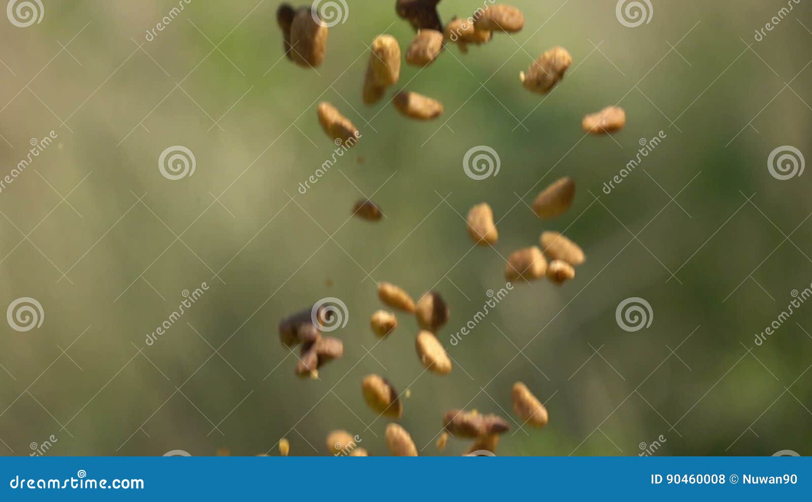 Pet Food Falling Slow Motion Stock Footage - Video of industry, brown ...