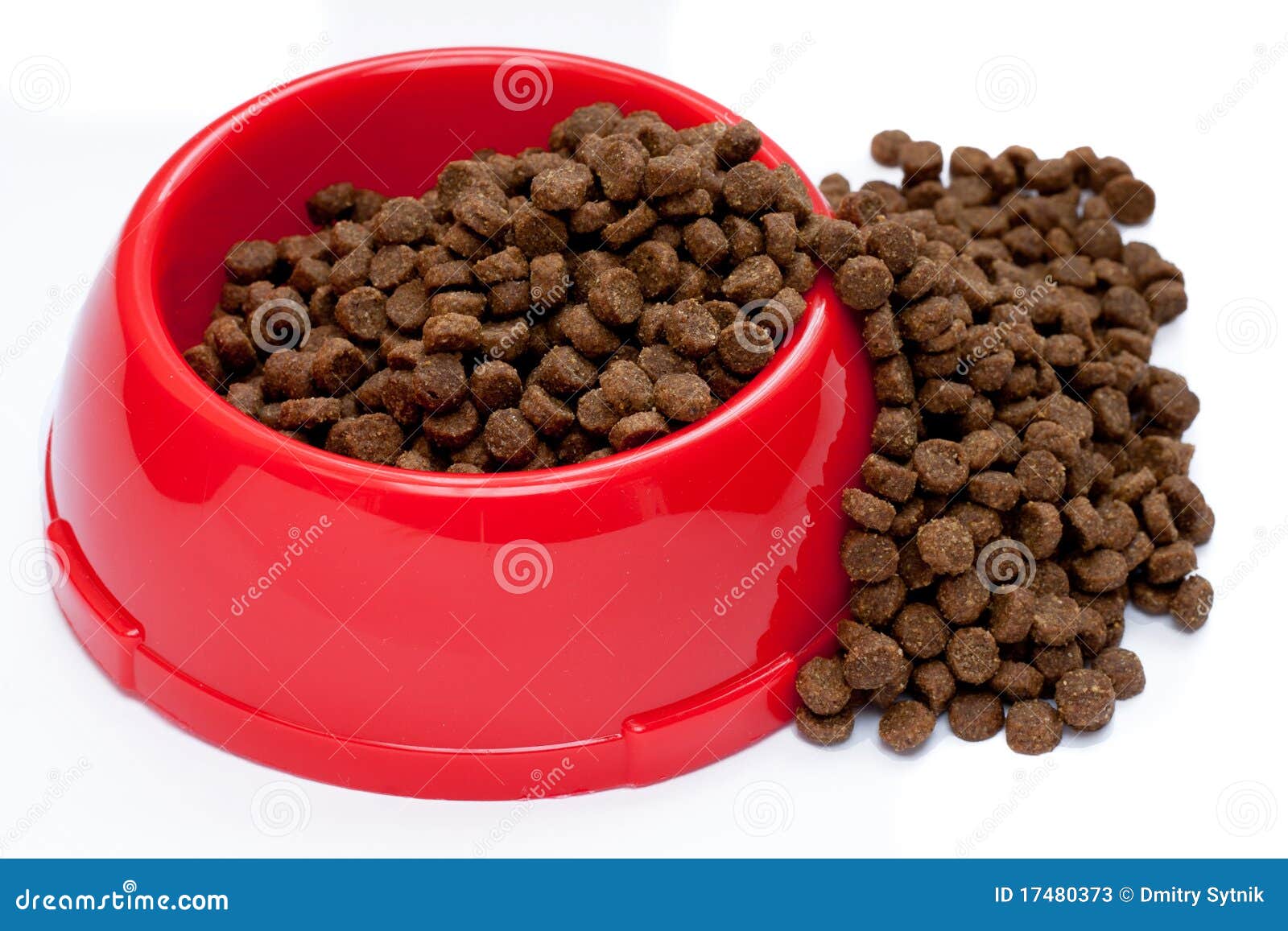 Pet food in red bowl stock image. Image of fodder, nutrient - 17480373