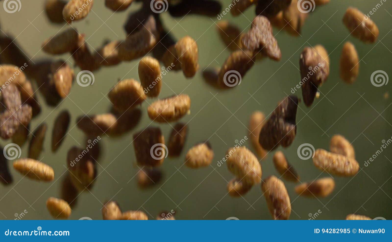 Pet Foods Falling Slow Motion Stock Video - Video of care, healthy ...