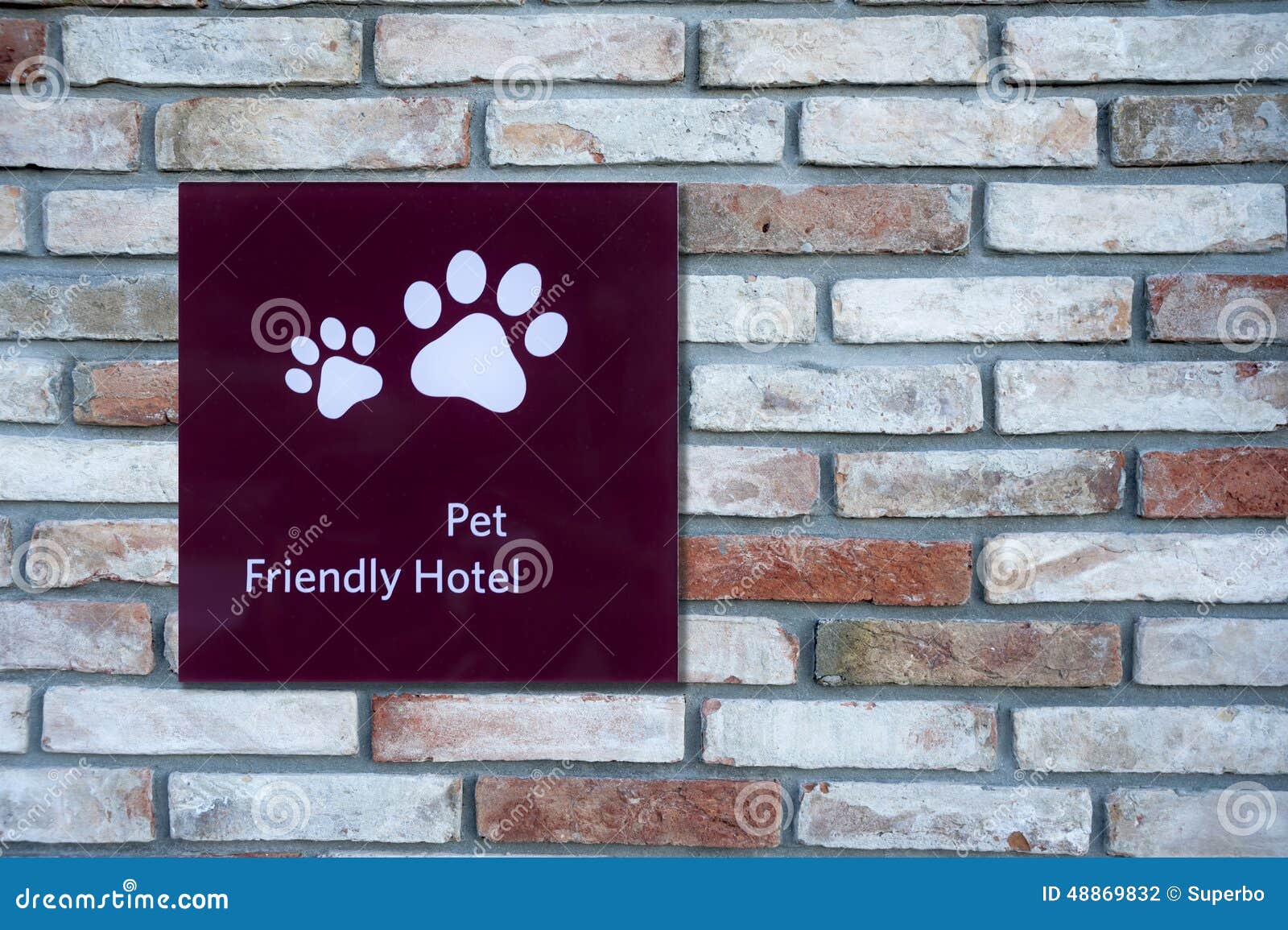 Pet Friendly Sign stock photo. Image of white, background - 48869832