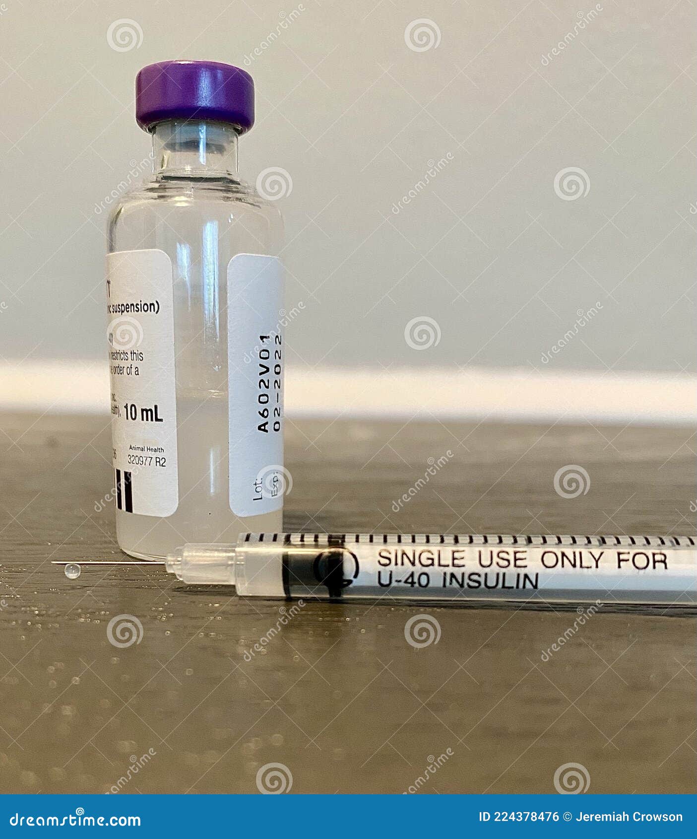 Pet insulin stock photo. Image of animals, animal, insulin - 224378476