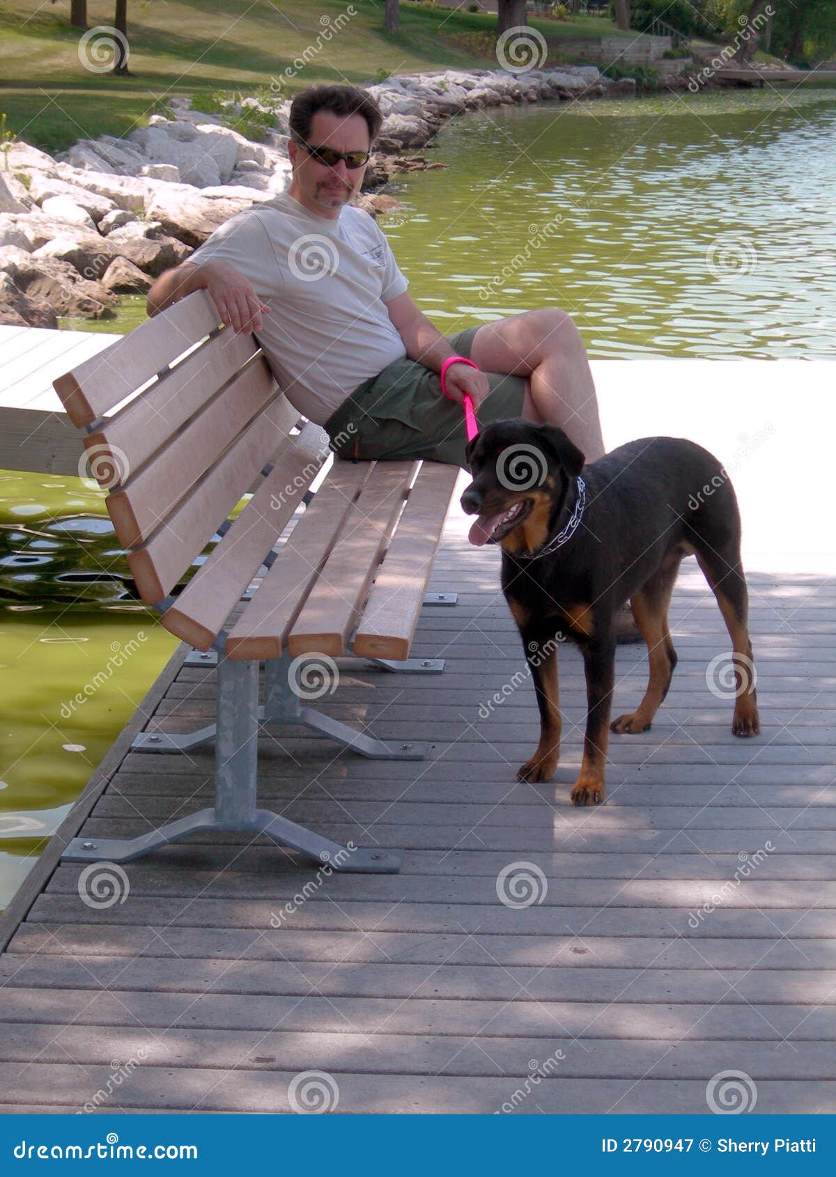Pet and master stock image. Image of pooch, brunette, leashed - 2790947