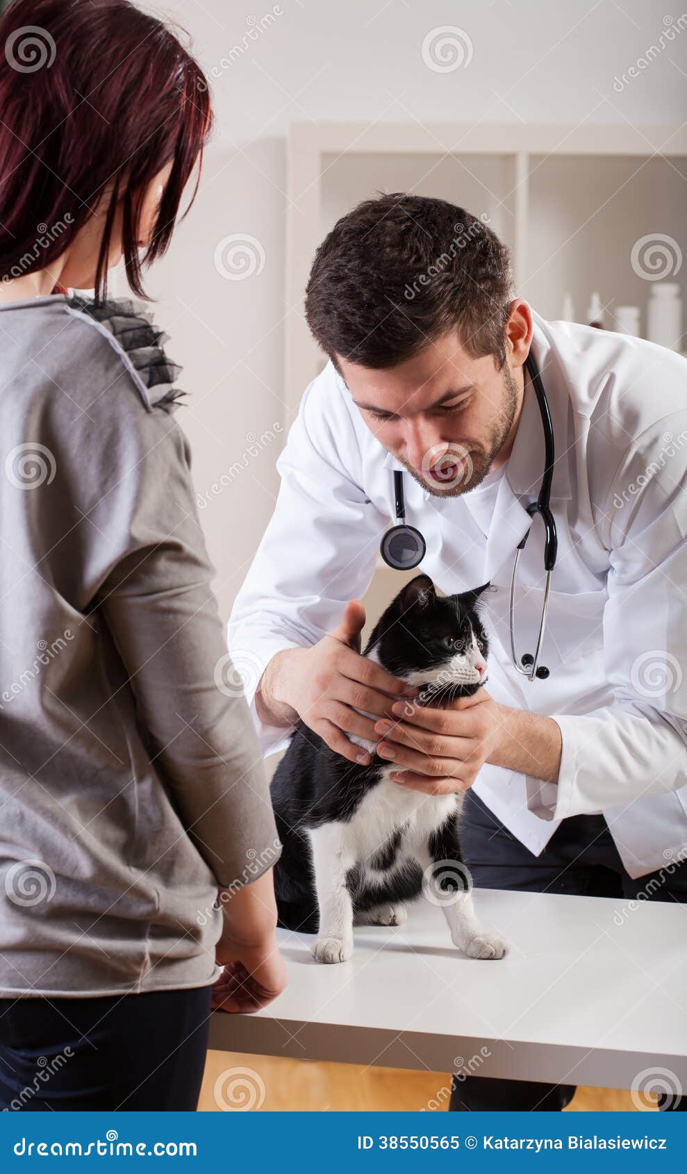Pet during Medical Appointment Stock Image - Image of medicine, doctors ...