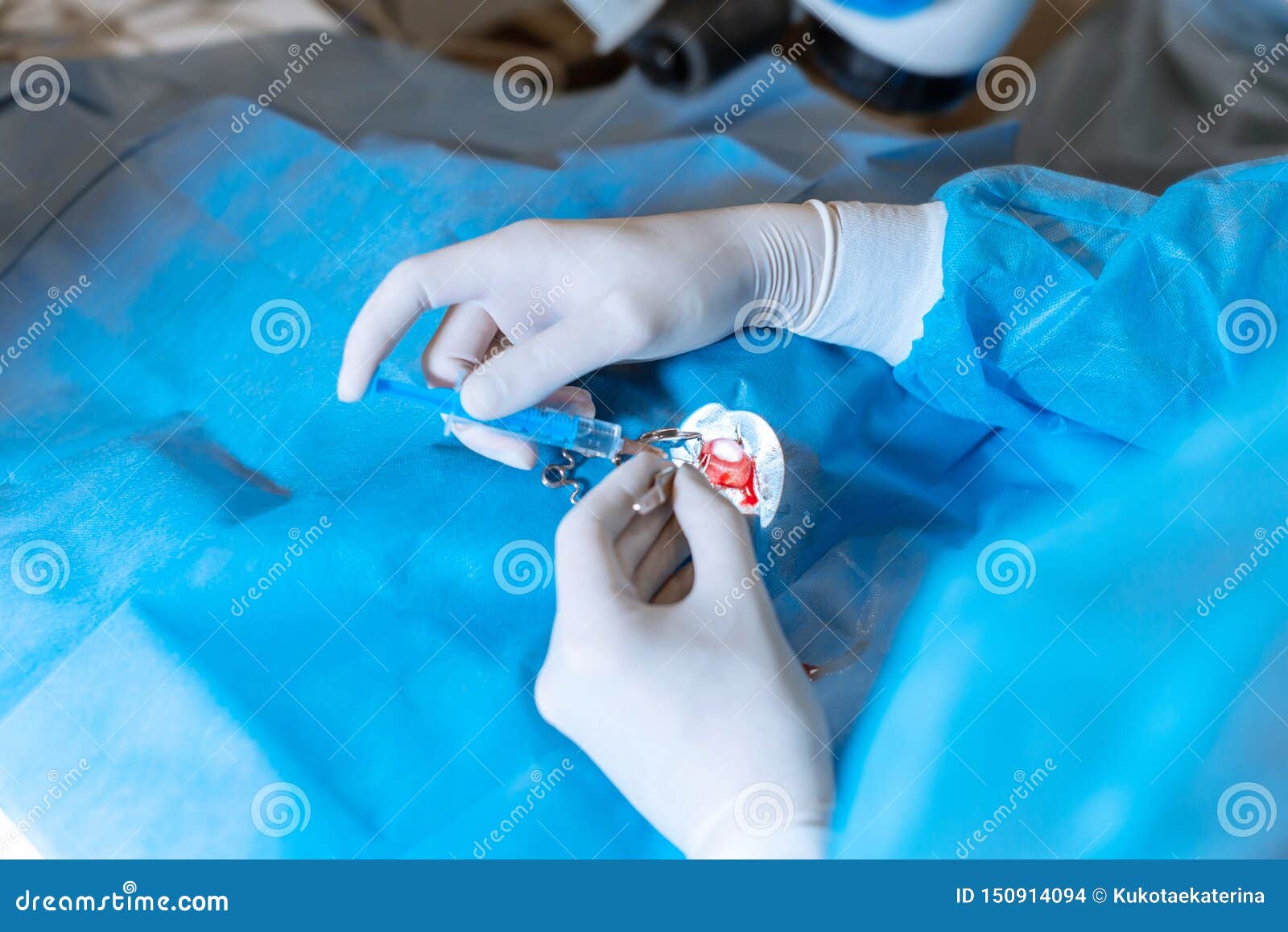 Pet Ophthalmologist Surgeon Doing Difficult Operation on Injured Dog ...