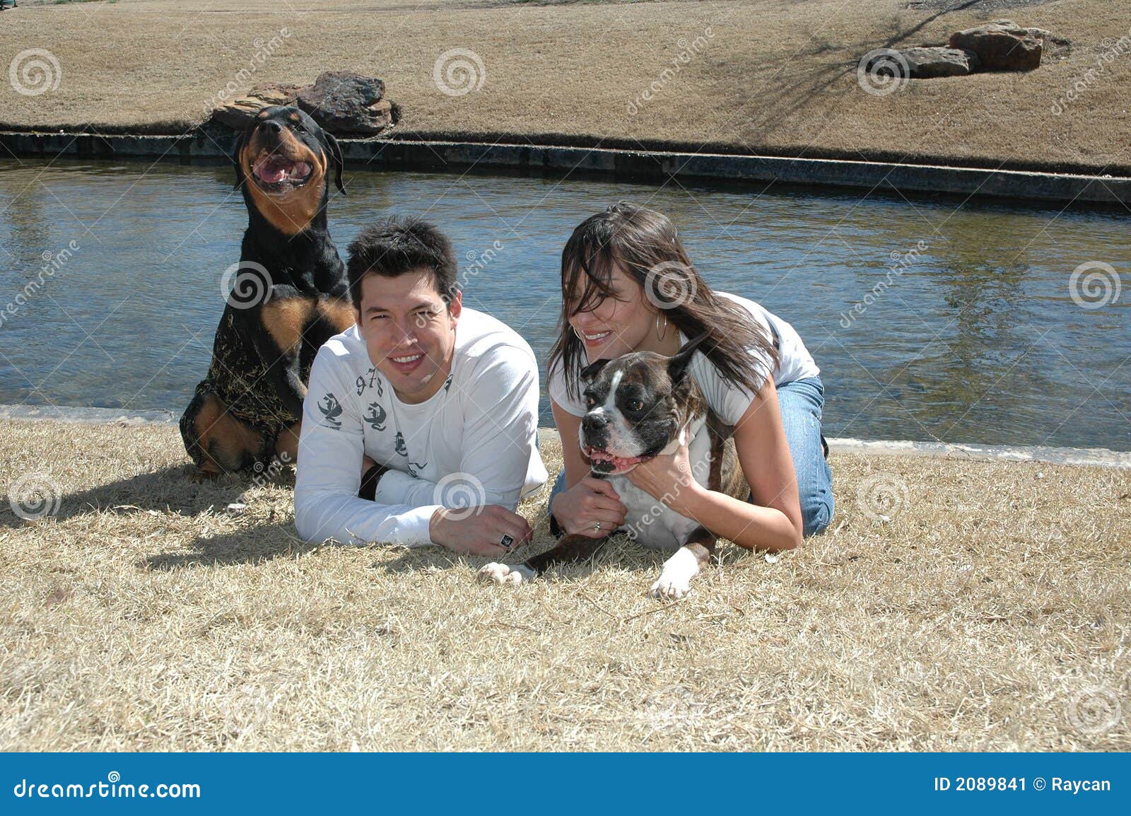 Pet outing stock image. Image of happy, black, board, full - 2089841