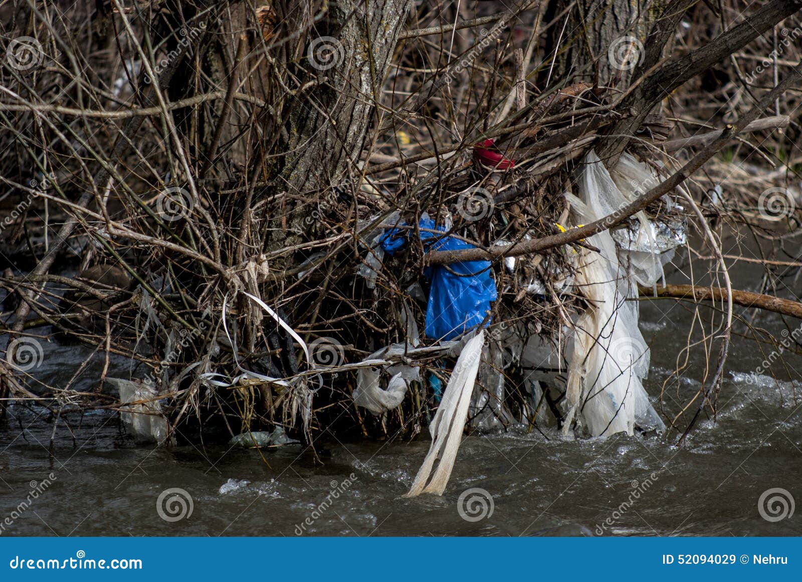 Pet pollution stock image. Image of messy, beach, dirty - 52094029