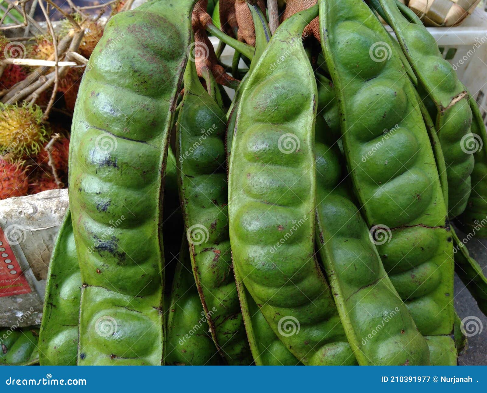 This Vegetable Called Petai Stock Image - Image of crop, leaf: 210391977