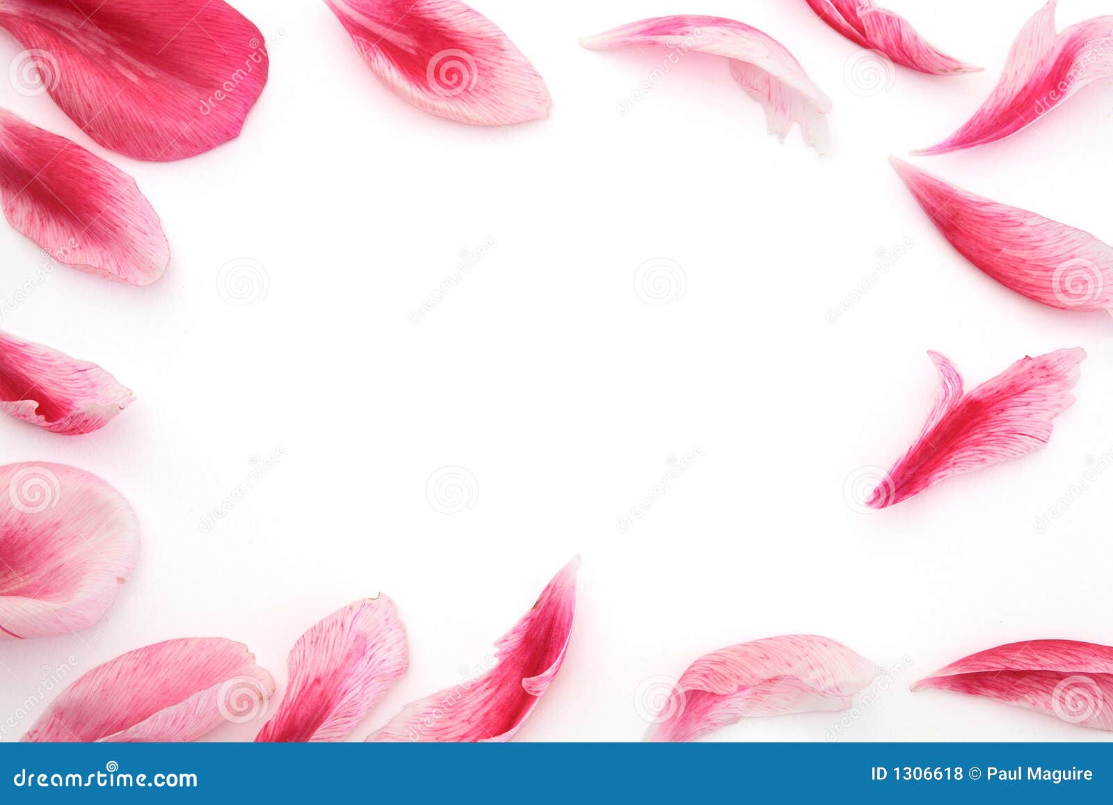 Petal frame stock photo. Image of background, engagement - 1306618