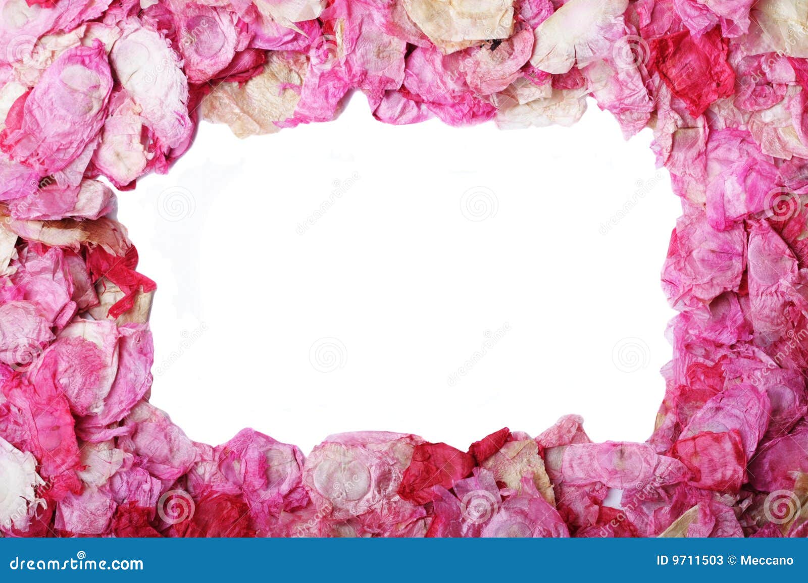 Petal frame stock image. Image of natural, blossom, anniversary - 9711503
