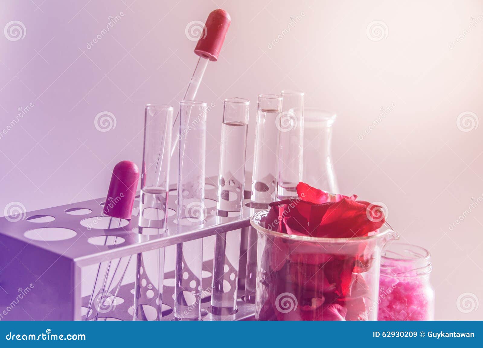 Petal Rose in Laboratory for Analysis Stock Image - Image of glass ...