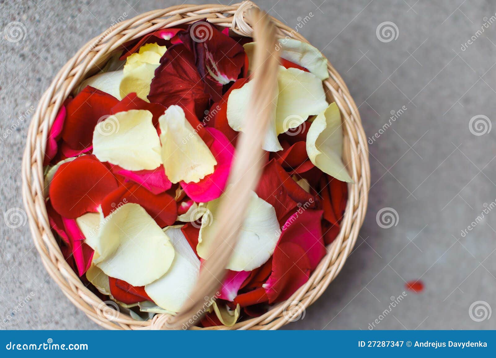 Petali di Rosa immagine stock. Immagine di nubile, sfondo - 27287347