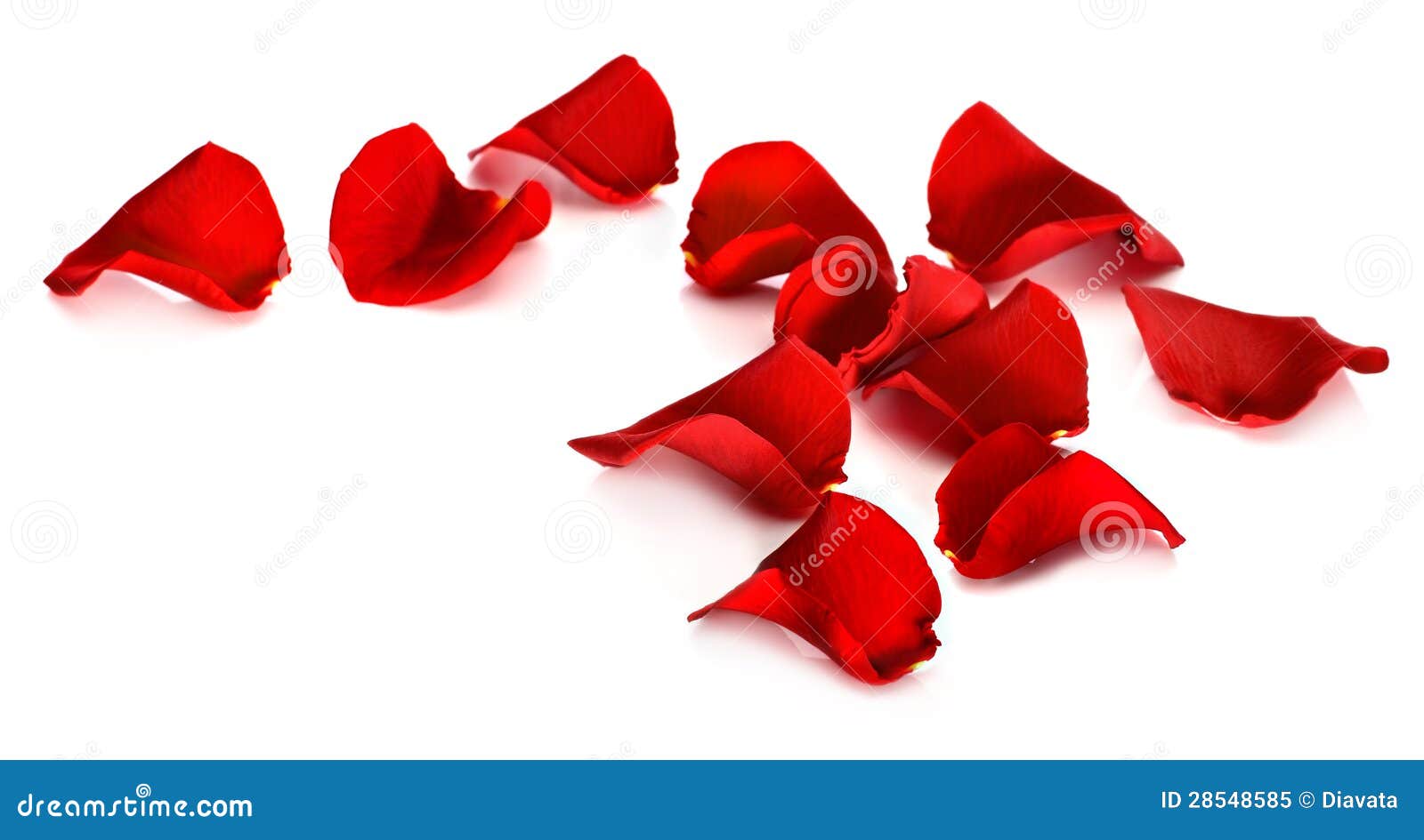 Petali di rosa rossa immagine stock. Immagine di giorno - 28548585