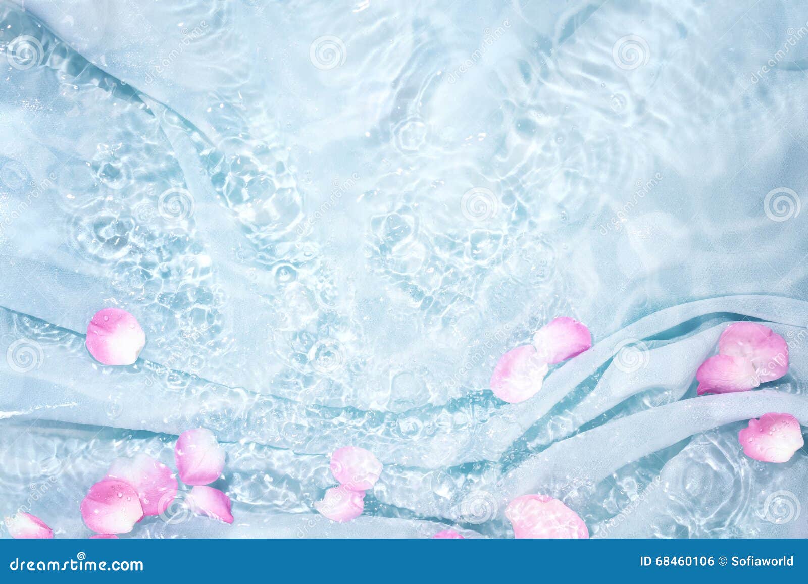 Petalo di Rosa in acqua fotografia stock. Immagine di modello - 68460106