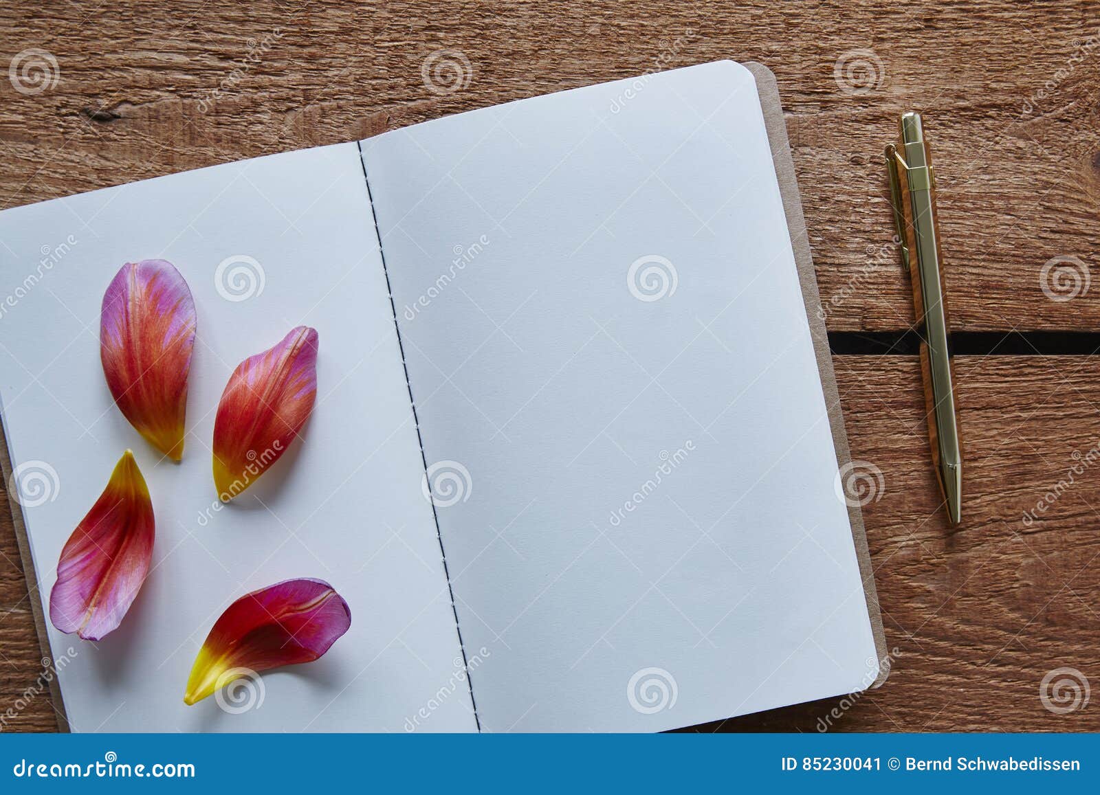 Petals of Bloom on Blank Notebook Stock Image - Image of beautiful ...