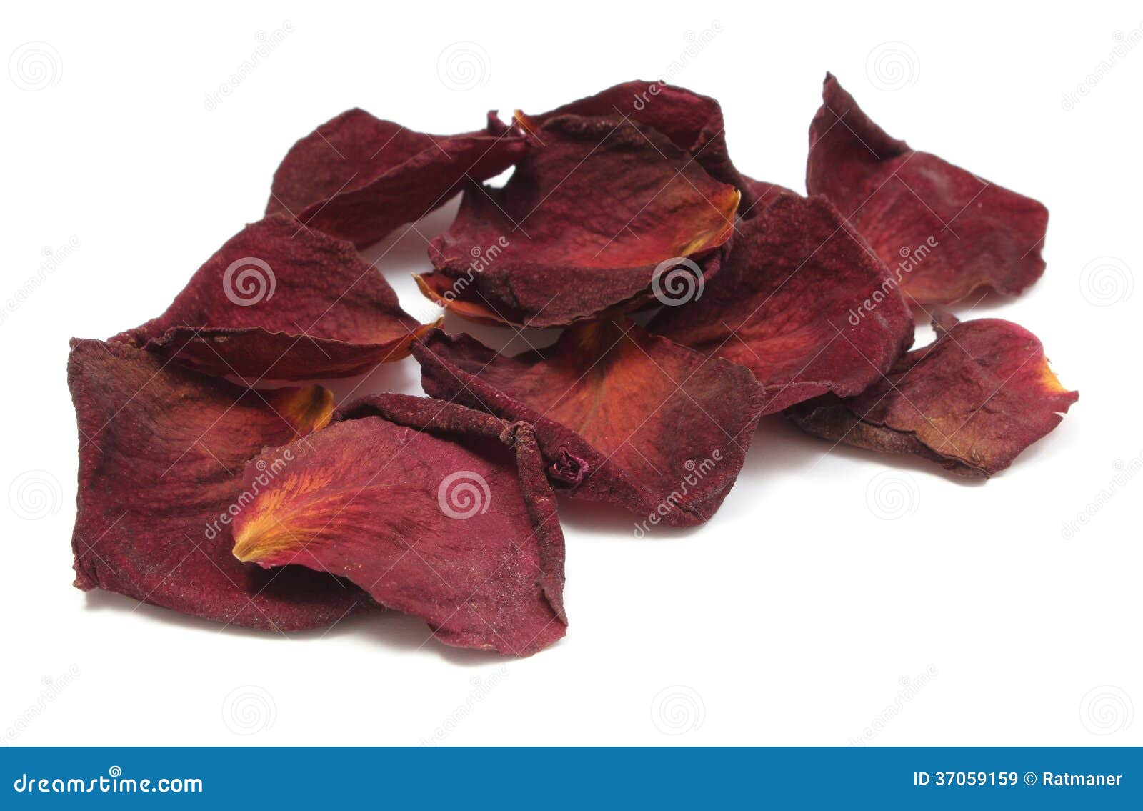 Petals of Dried Red Rose on White Background Stock Image - Image of ...