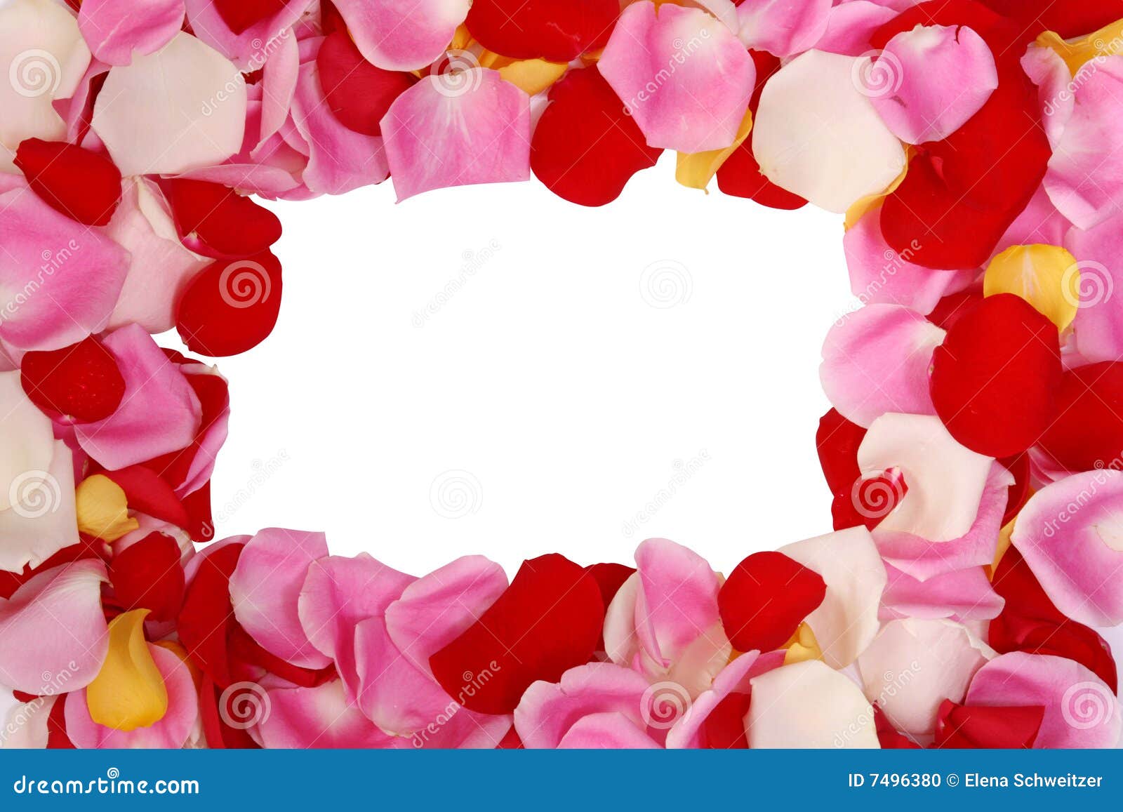 Petals frame stock photo. Image of colorful, gift, beautiful - 7496380