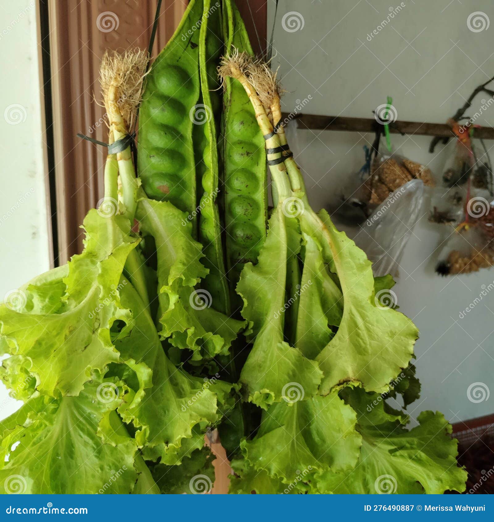 Pete and Vegetables Hang on the Wall Stock Image - Image of vegetables ...