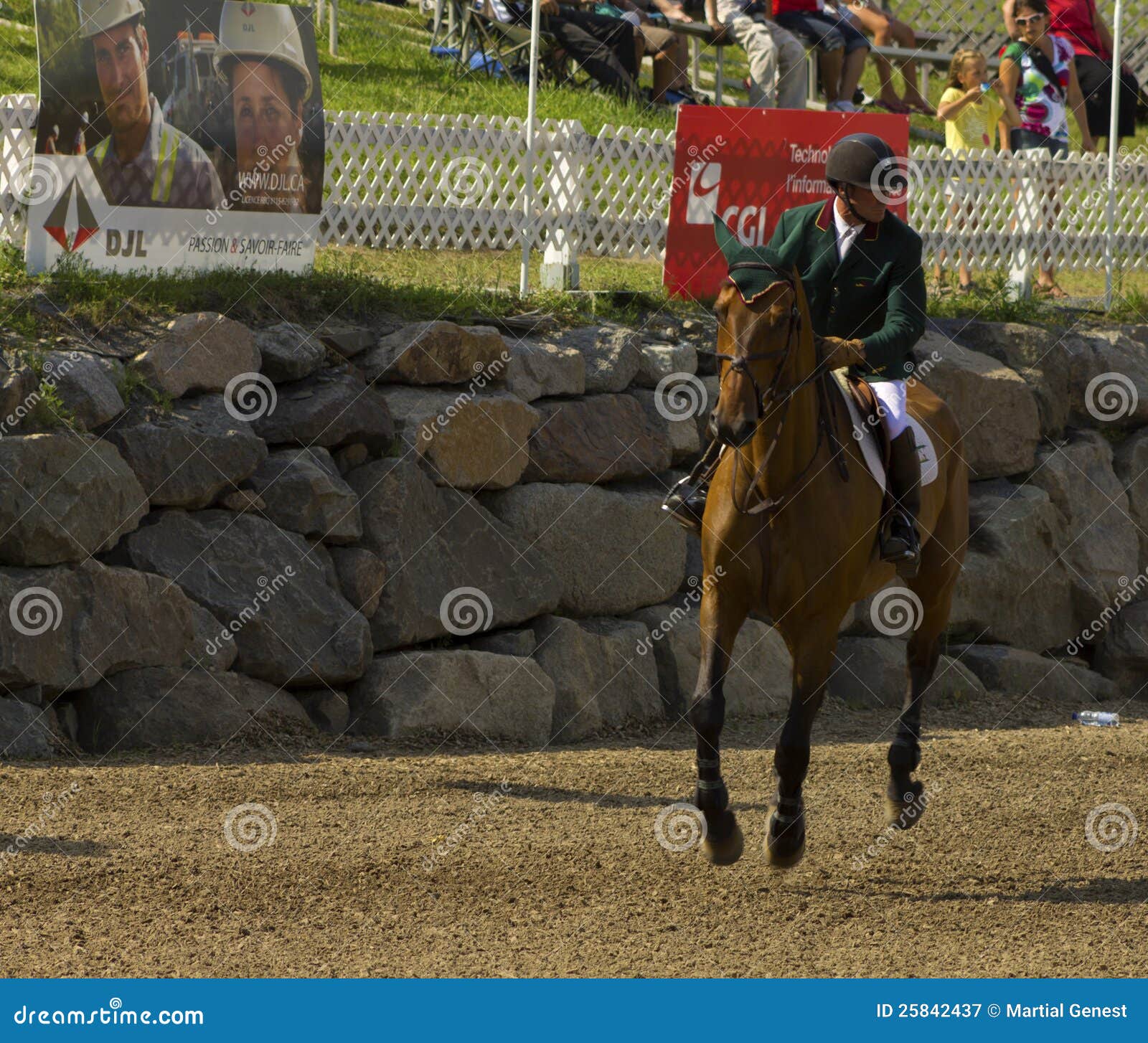 Peter Leone editorial photography. Image of briddle, federation - 25842437