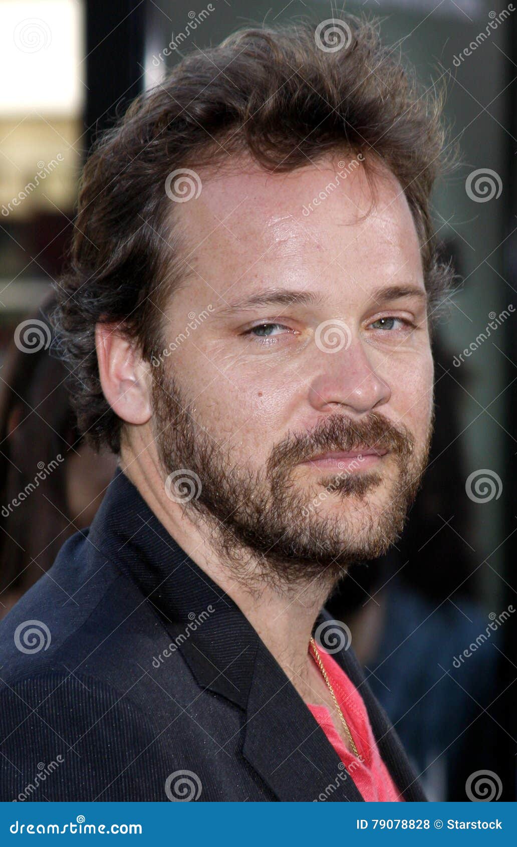 Peter Sarsgaard fotografia stock editoriale. Immagine di modo - 79078828