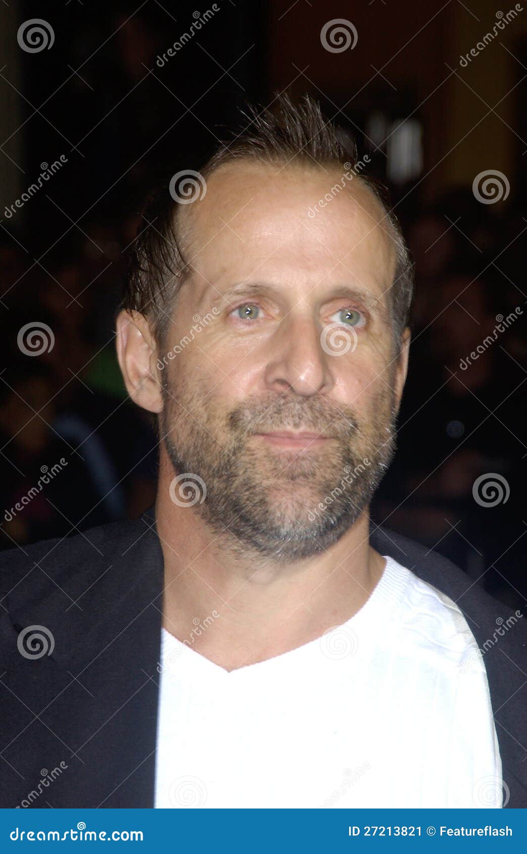 Peter Stormare photo éditorial. Image of monde, marche - 27213821