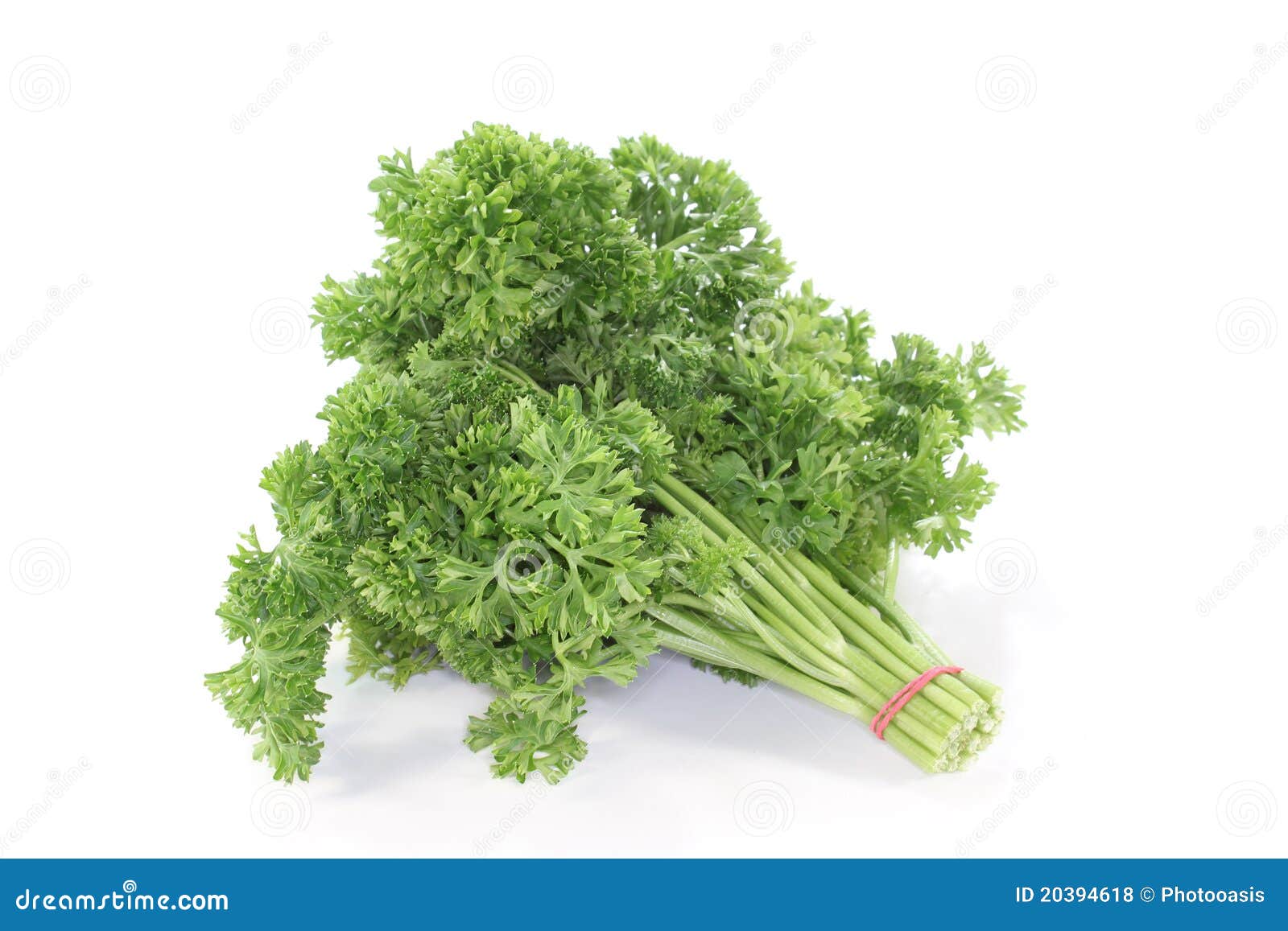 Peterselie stock foto. Image of peterselie, culinair - 20394618