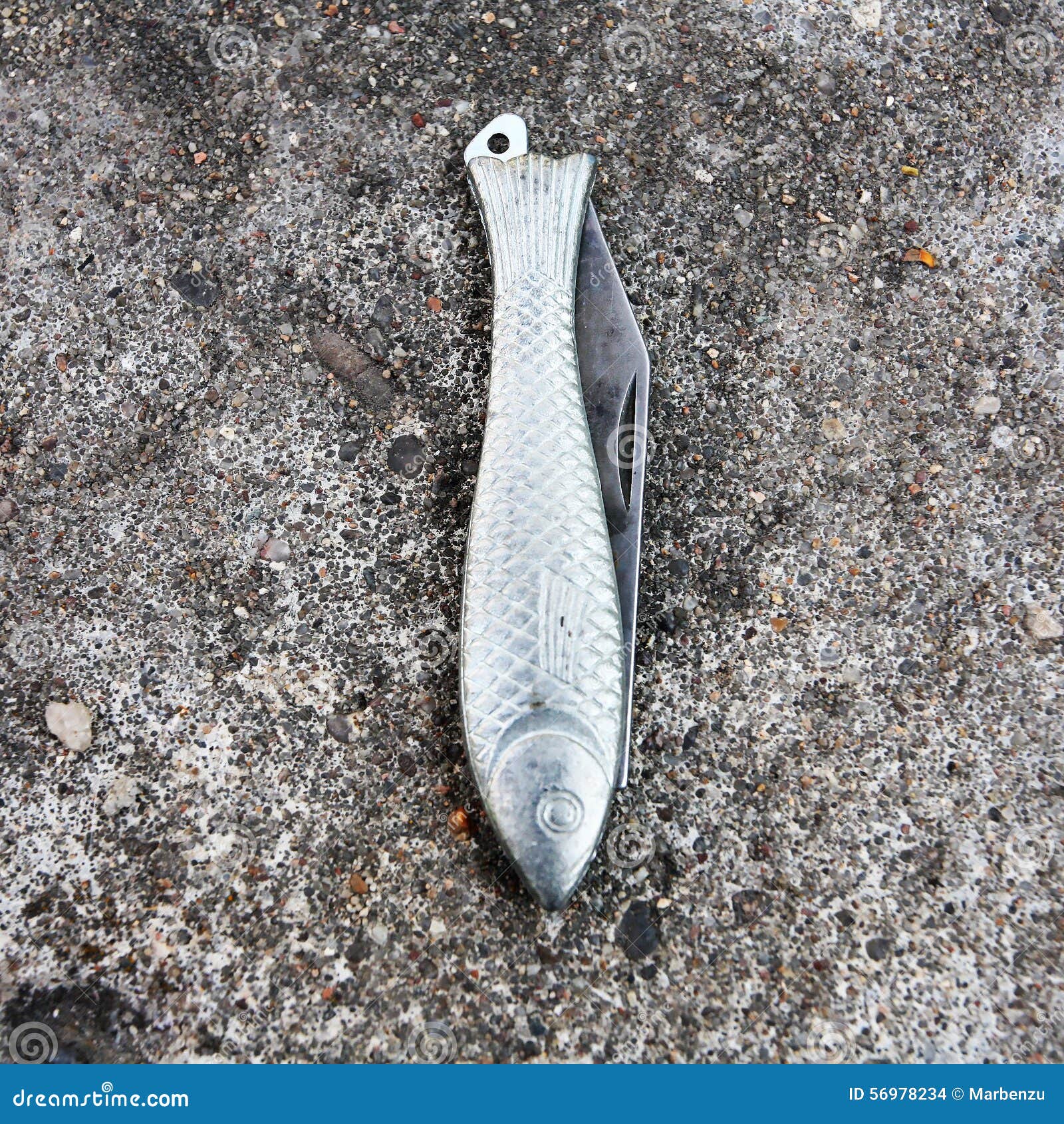 Petit couteau de poissons photo stock. Image du mignon - 56978234