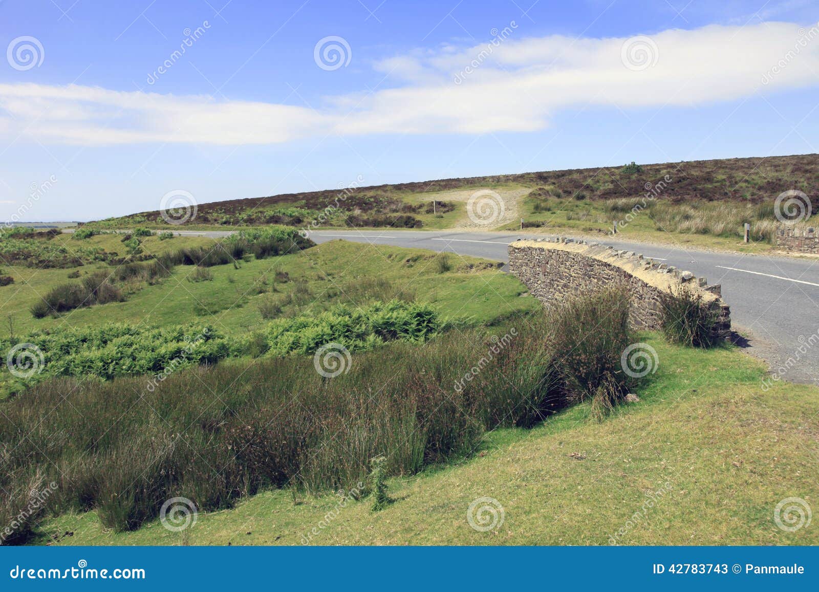 Petit Pont En Pierre Exmoor Devon England Image stock - Image du ...