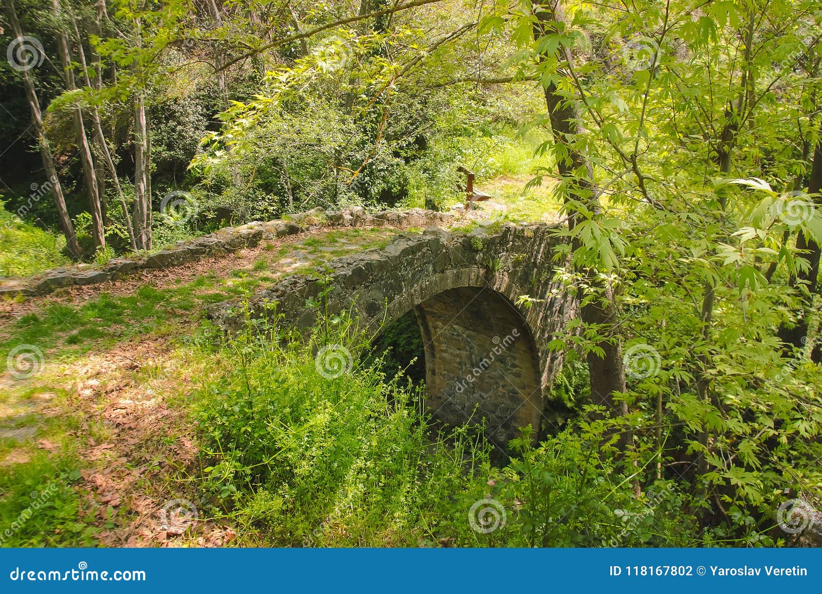Petit Pont En Pierre En Nature Photo stock - Image du architecture ...