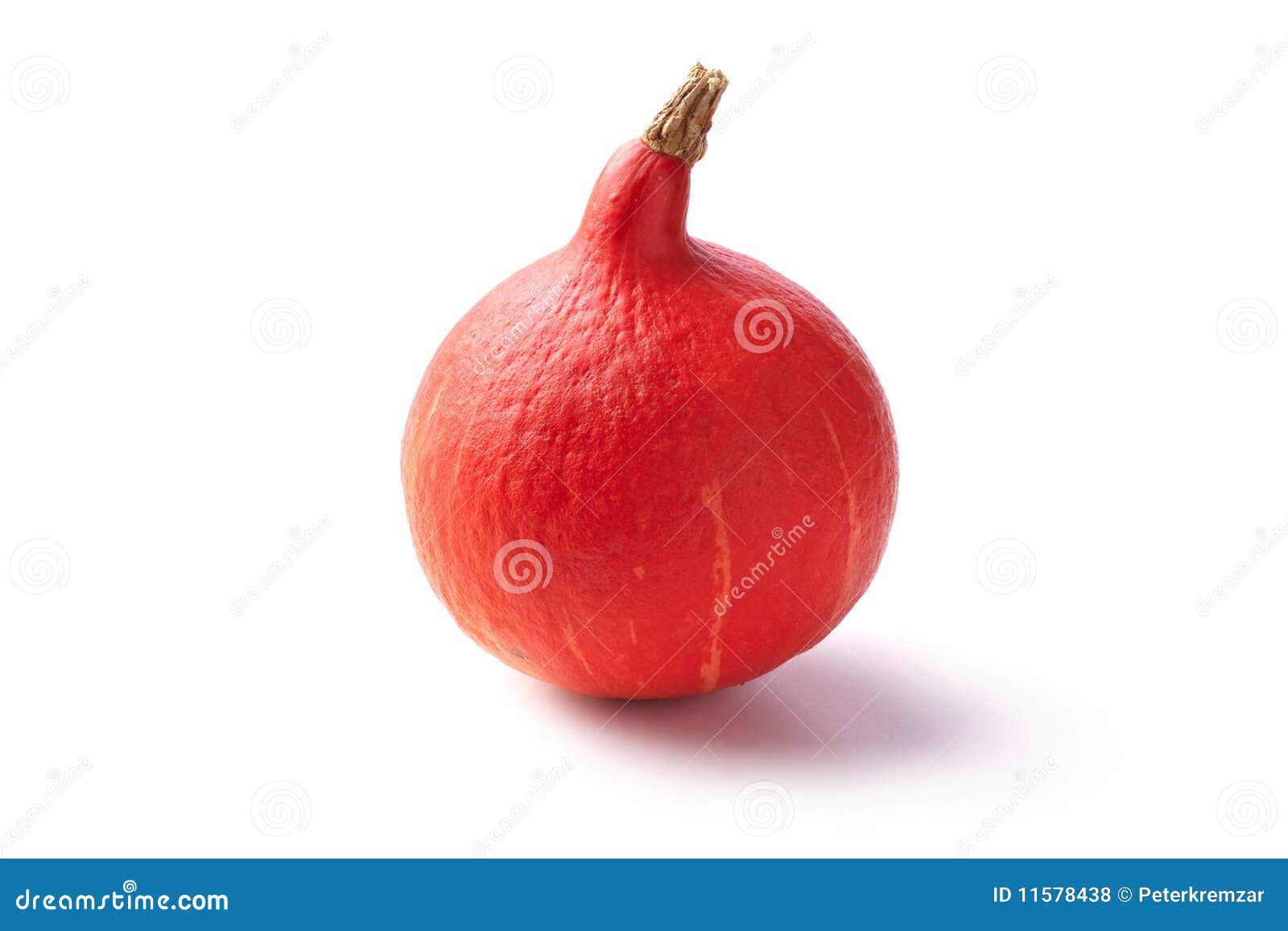 Petit potiron rouge photo stock. Image du cercle, nature - 11578438