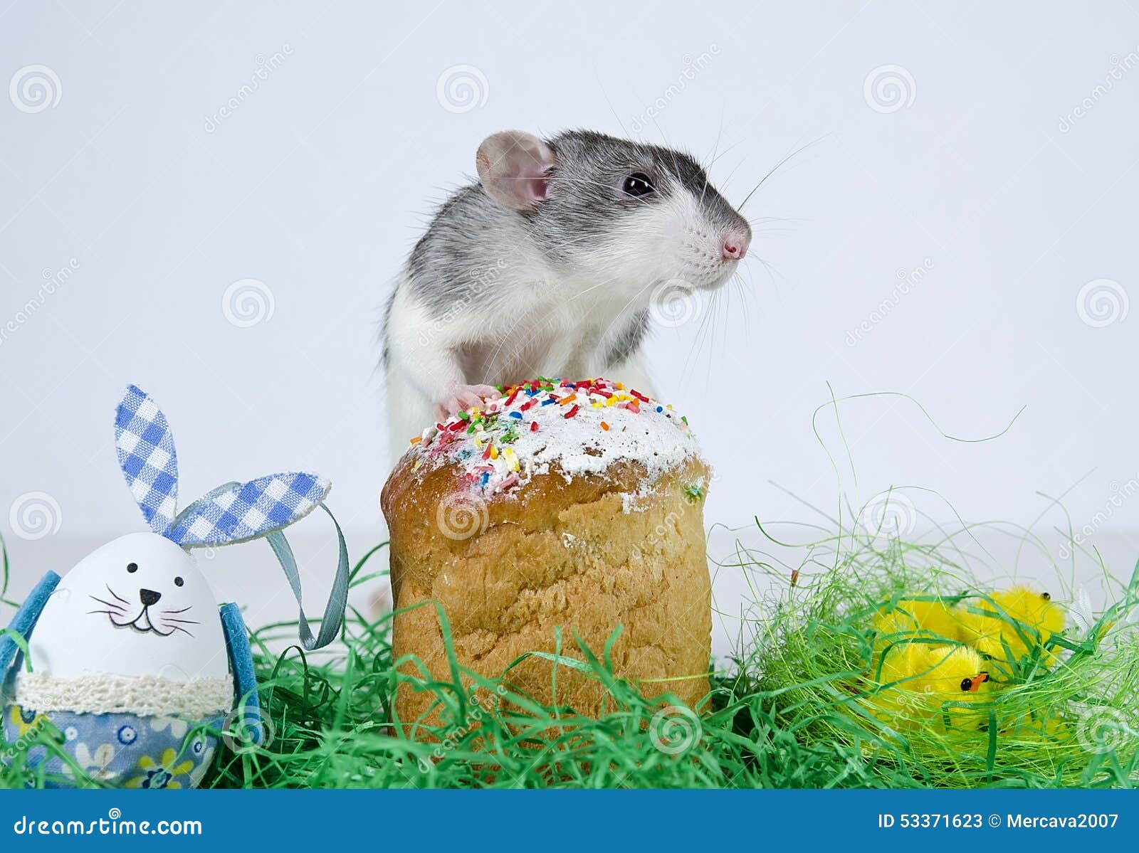 Petit rat mignon image stock. Image du décoration, printemps - 53371623