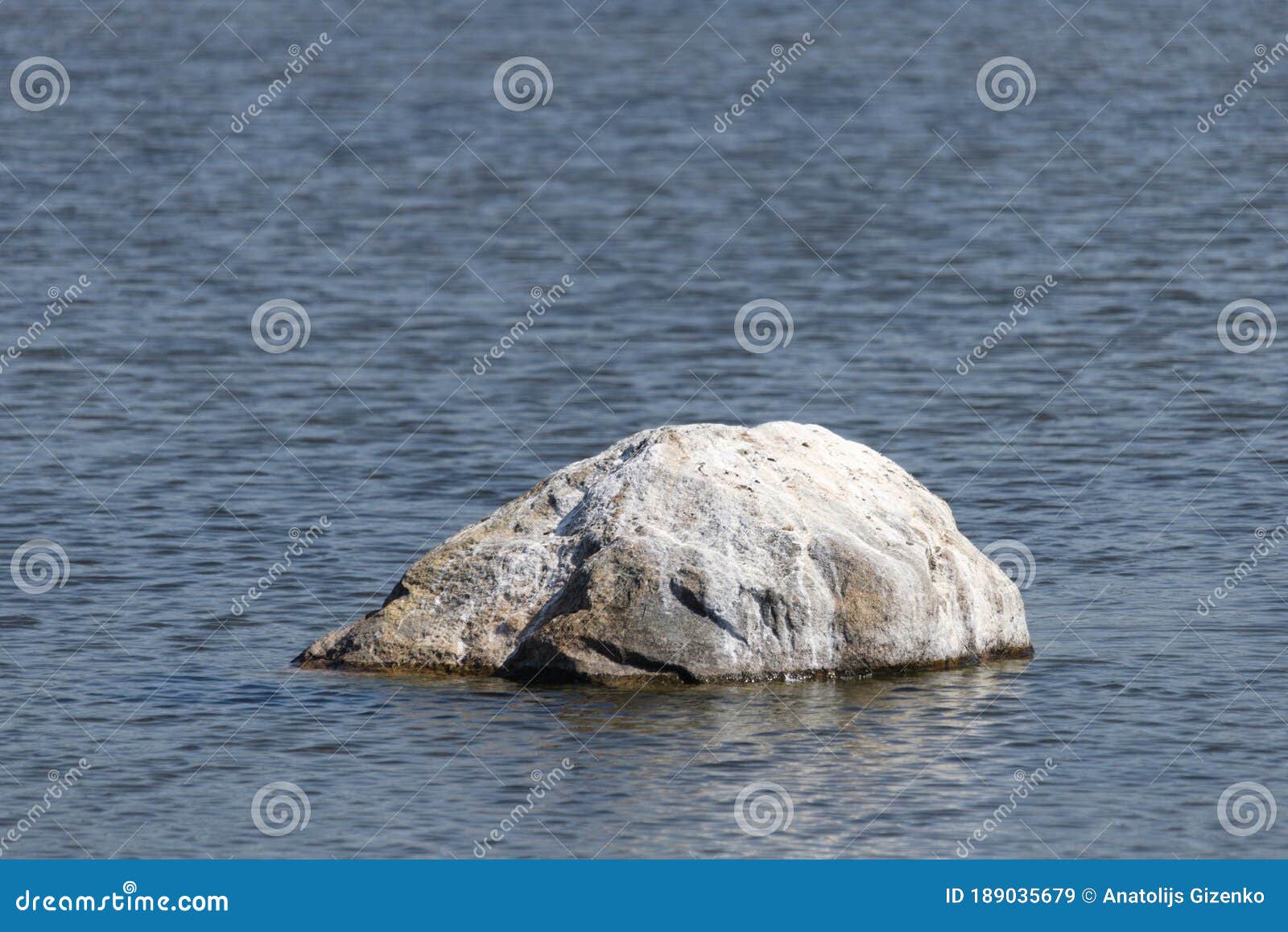 Petit Rocher Dépassant De L'eau De Mer Dans Le Golfe De Riga Image ...