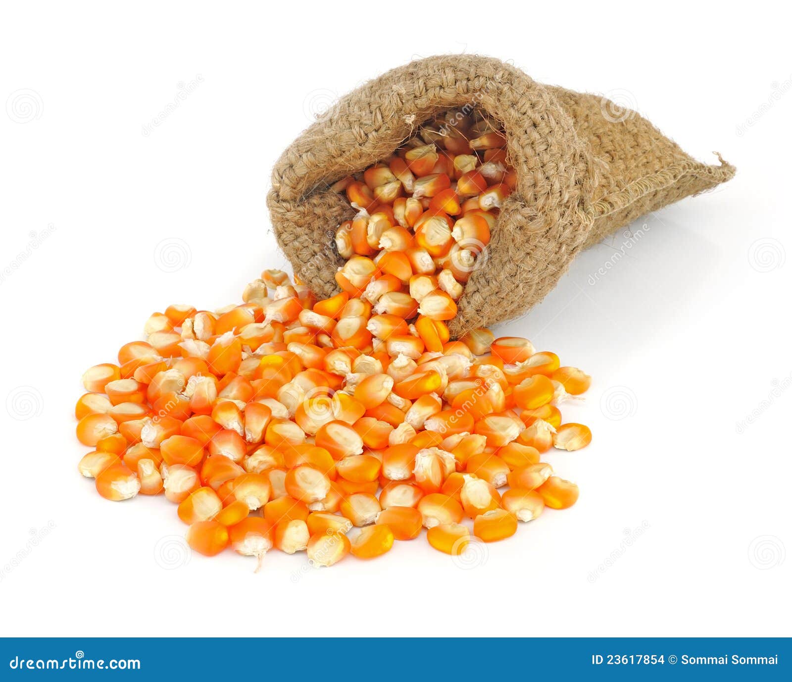 Petit sac de maïs photo stock. Image du végétarien, détail - 23617854