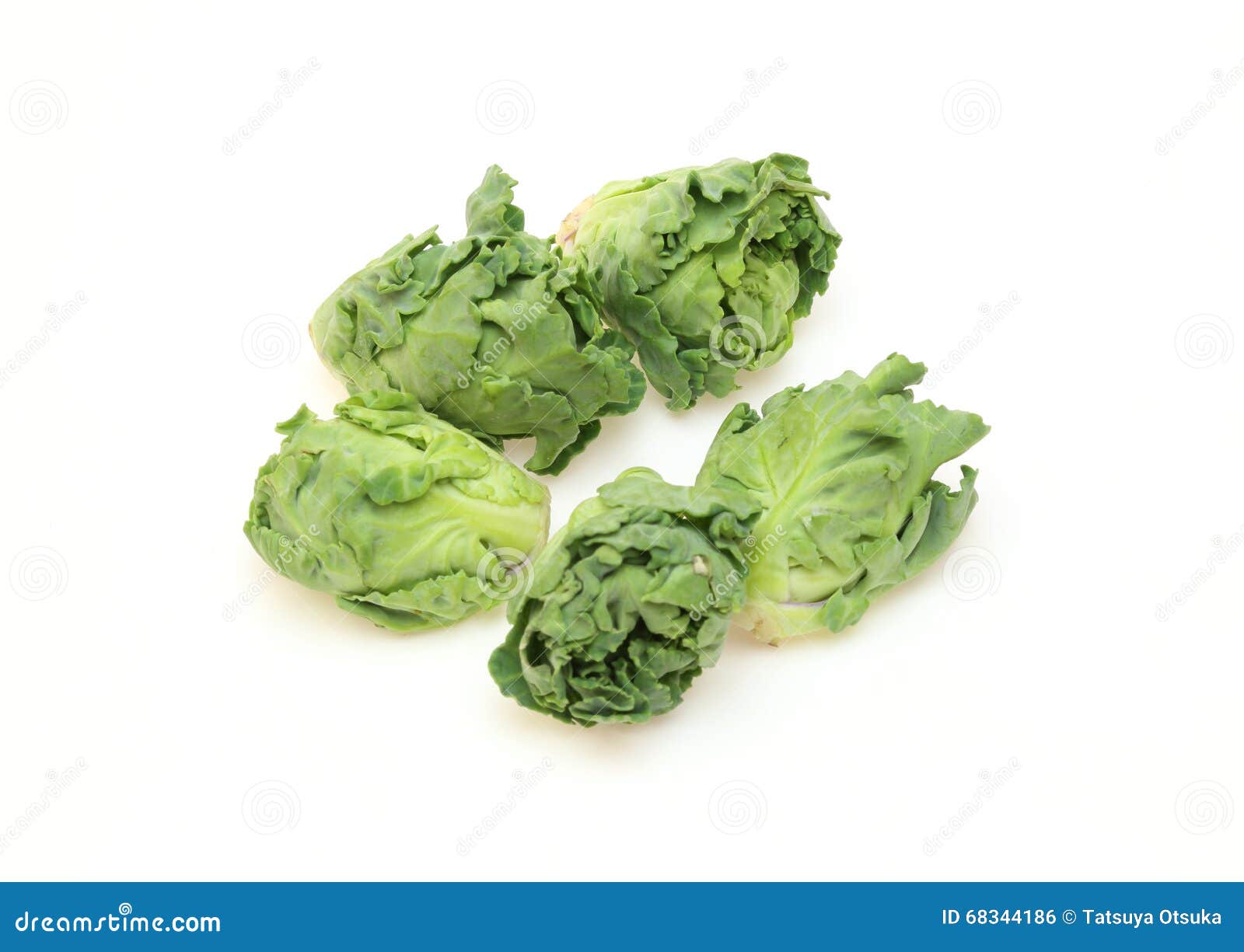 Petit Vert photo stock. Image du bruxelles, kale, légume - 68344186