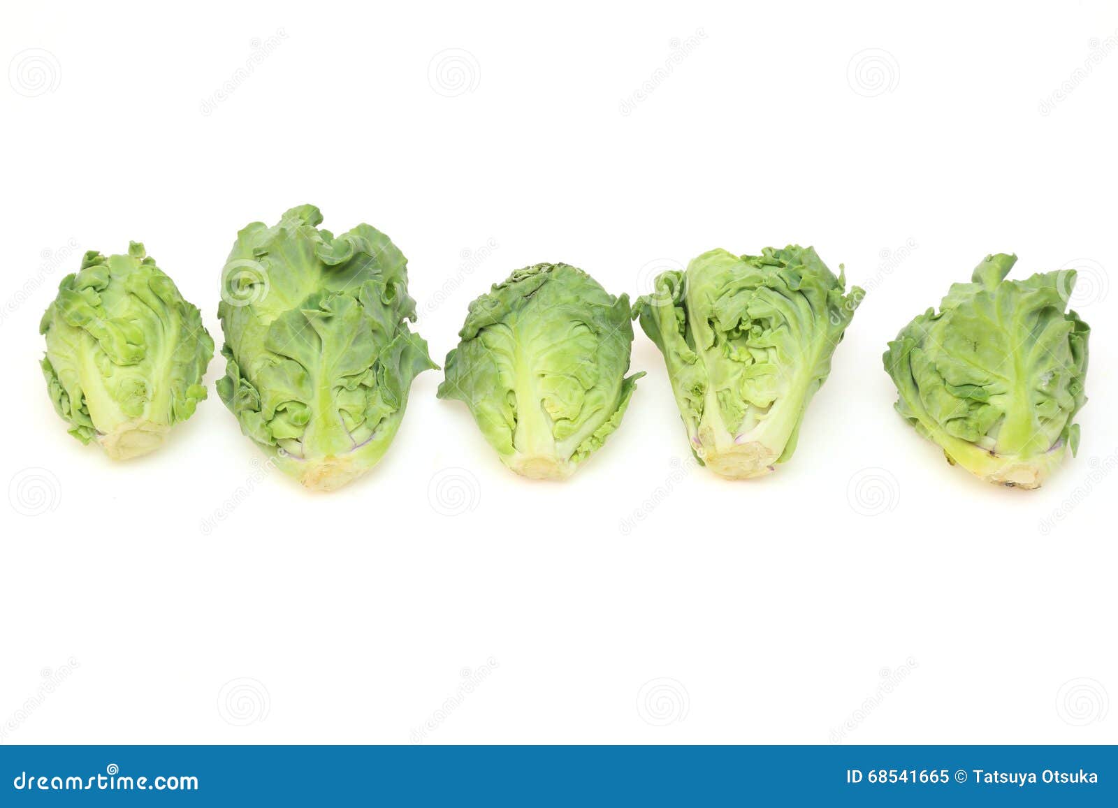 Petit Vert stock image. Image of mating, greens, vegetable - 68541665