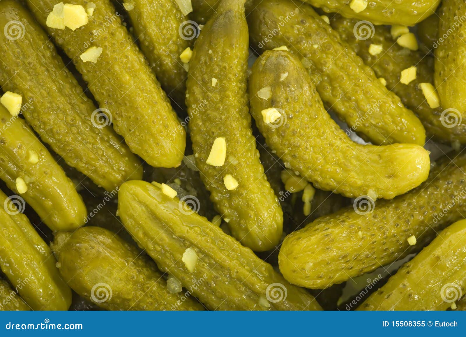 Petite Dill Pickles stock image. Image of meal, pickle - 15508355