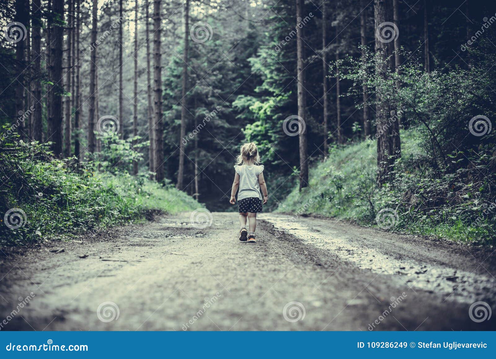 Petite Fille Perdue En Forest Walking Alone Image stock - Image du ...