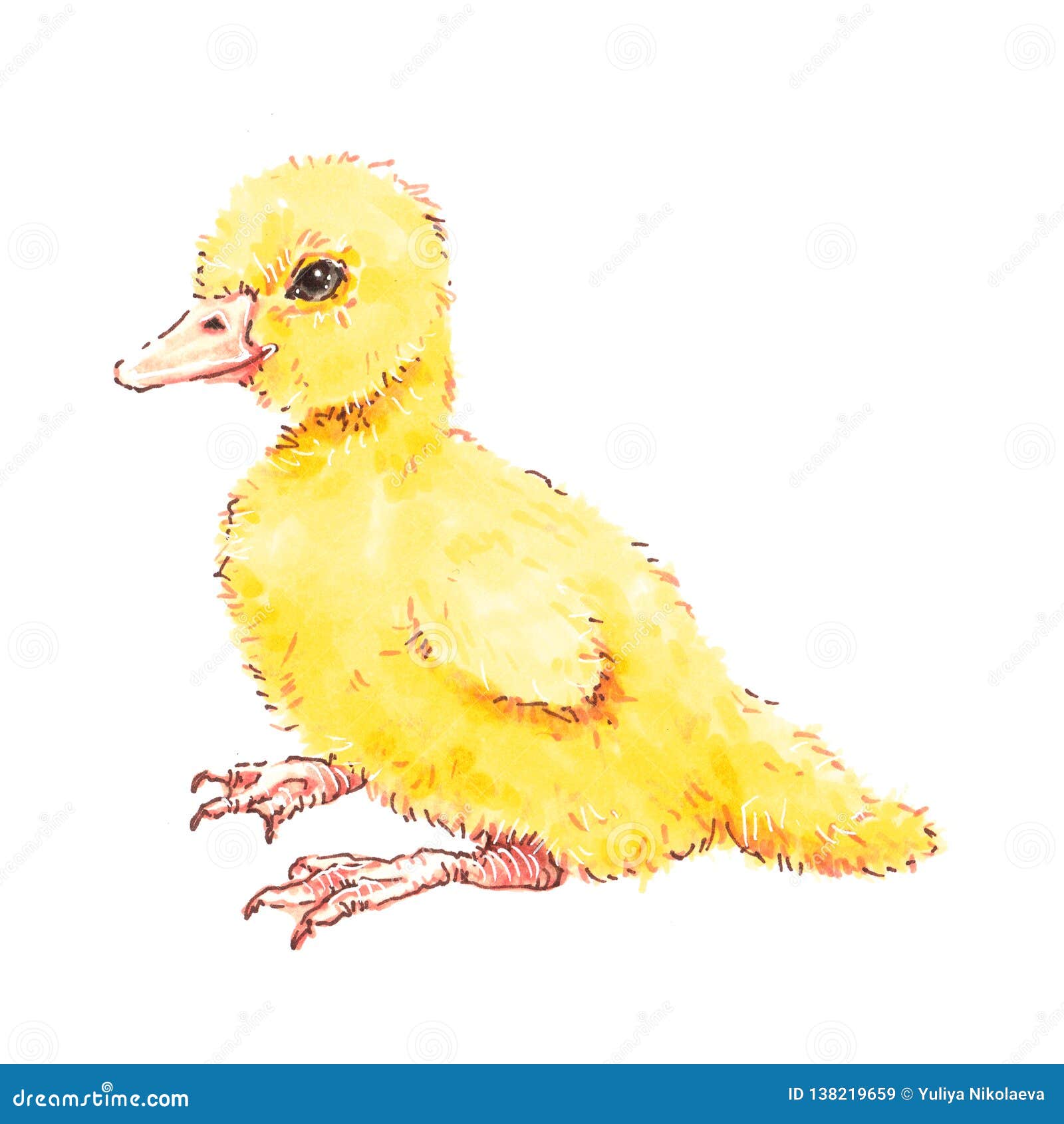 Petite Illustration De Caneton, Dessin De Main, Marqueurs D'alcool ...