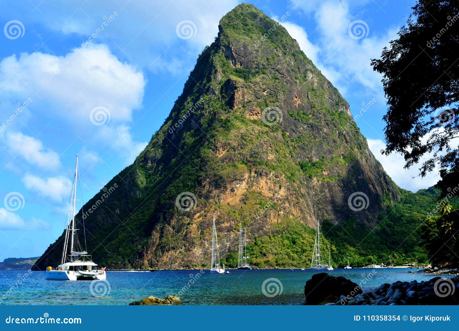 Piton Photos Stock - Téléchargez 1,572 Photos libres de droits