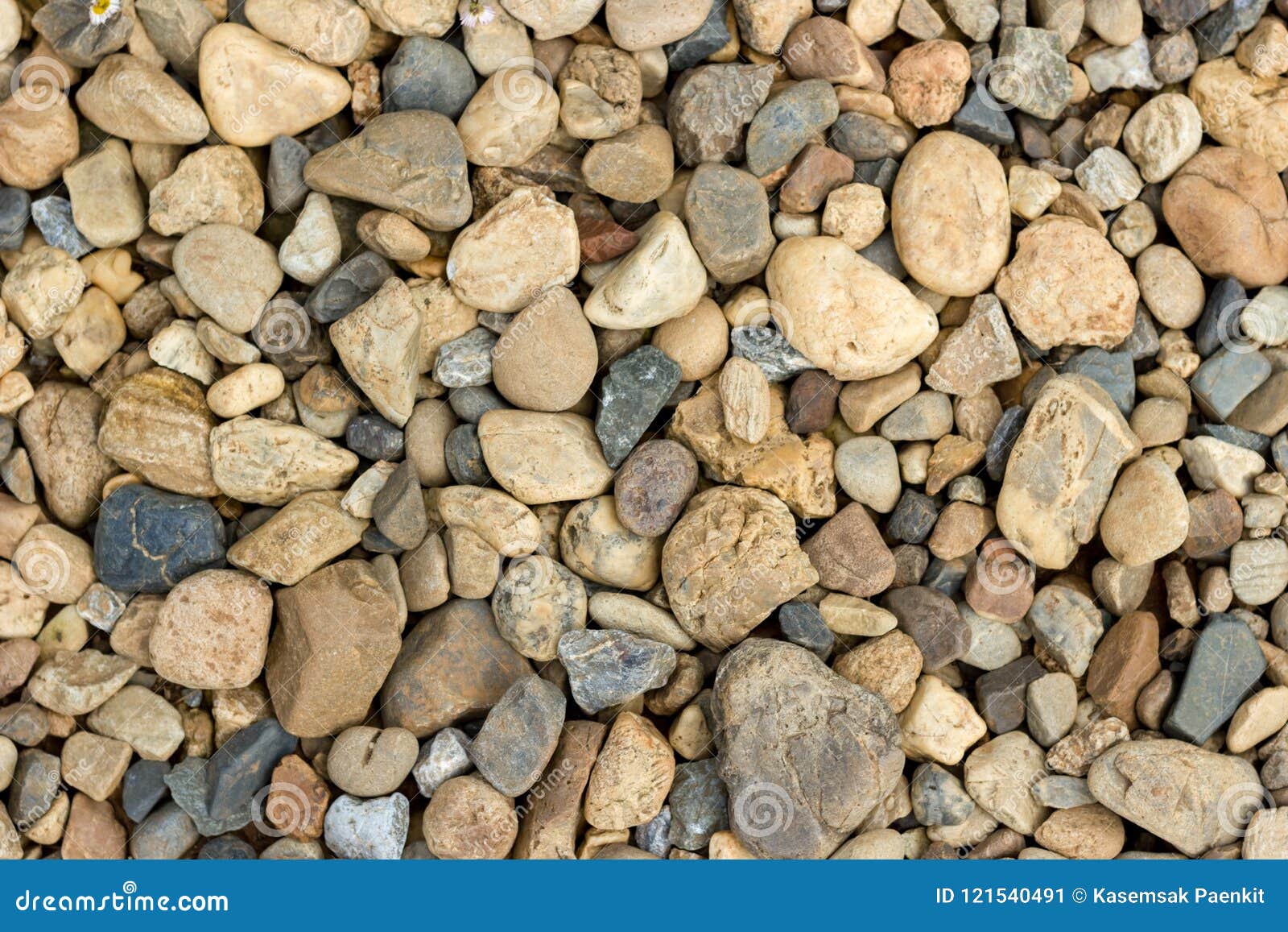 Petite Roche Avec Beaucoup De Couleurs Image stock - Image du upstream ...