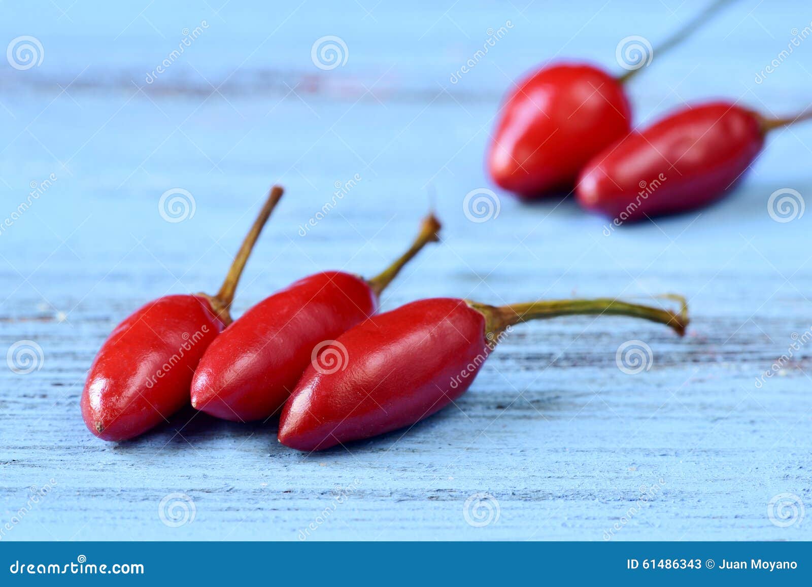 Petits Poivrons De /poivron Rouge Image stock - Image du épice ...