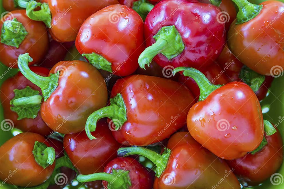 Petits poivrons rouges image stock. Image du marché, épicerie - 34121663