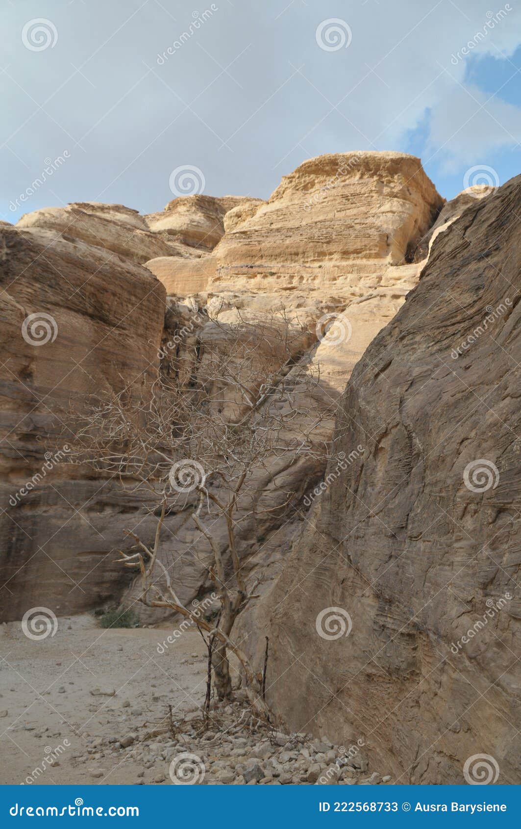 Petra, Jordan - 11.29 editorial stock photo. Image of heritage - 222568733